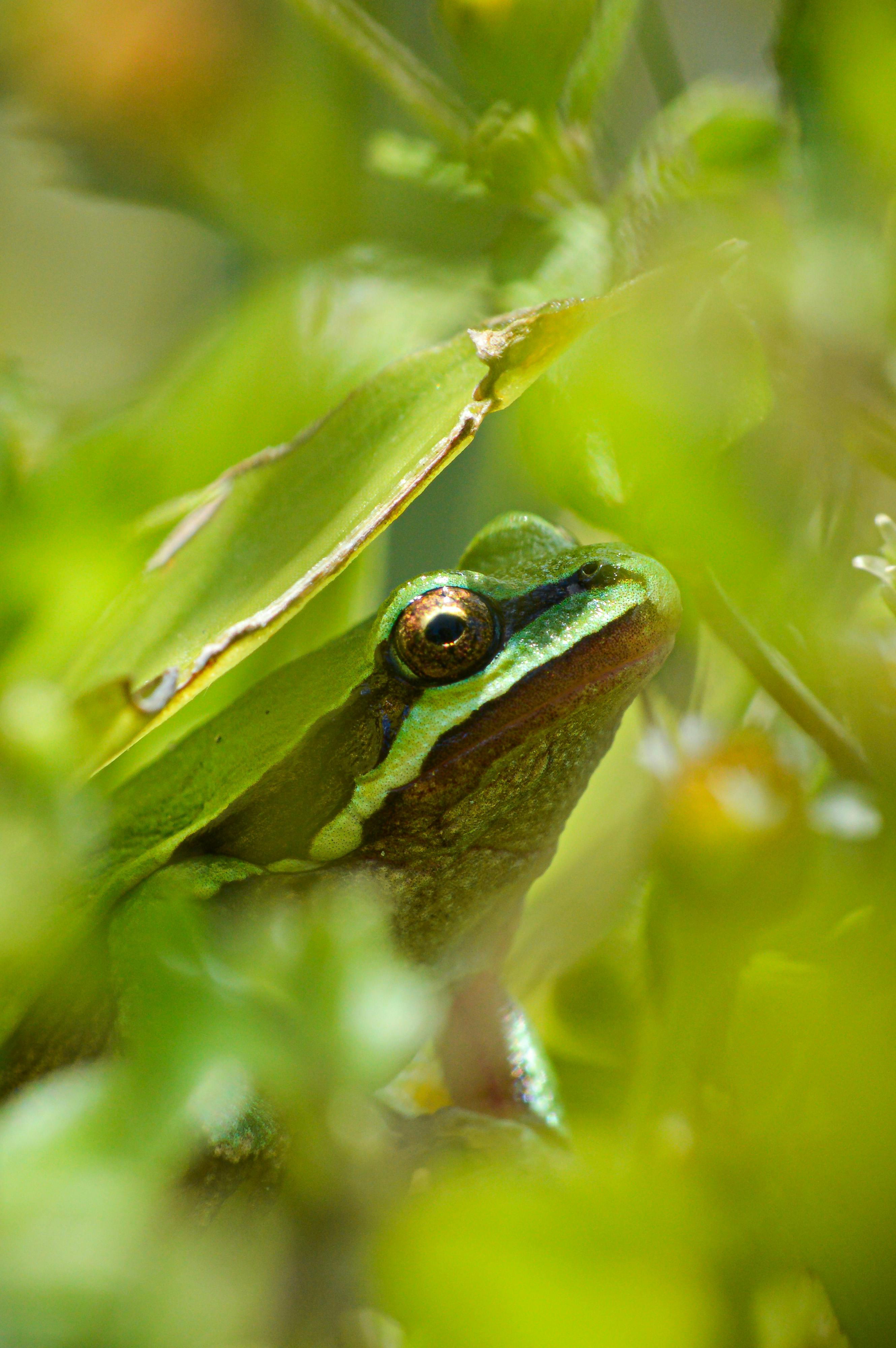 Small Wallpaper Photos, Download The BEST Free Small Wallpaper Stock ...