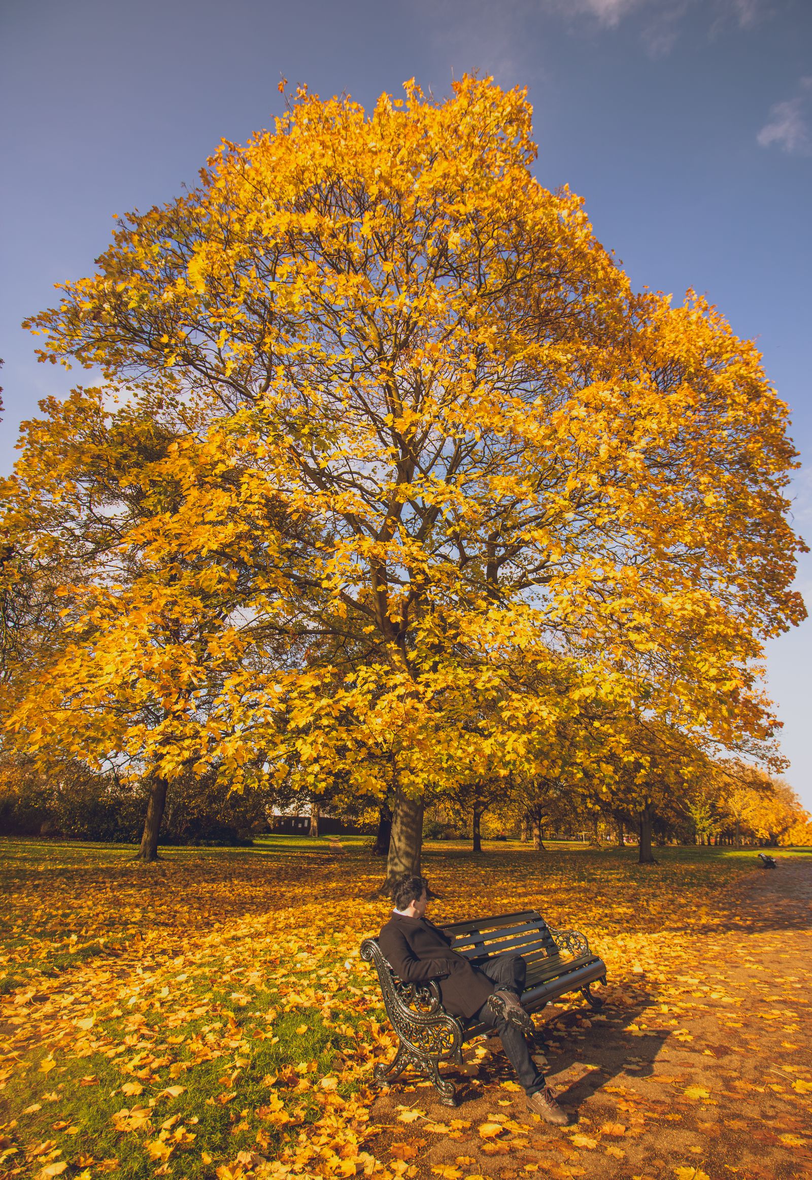 Uk Autumn Photos, Download The BEST Free Uk Autumn Stock Photos & HD Images