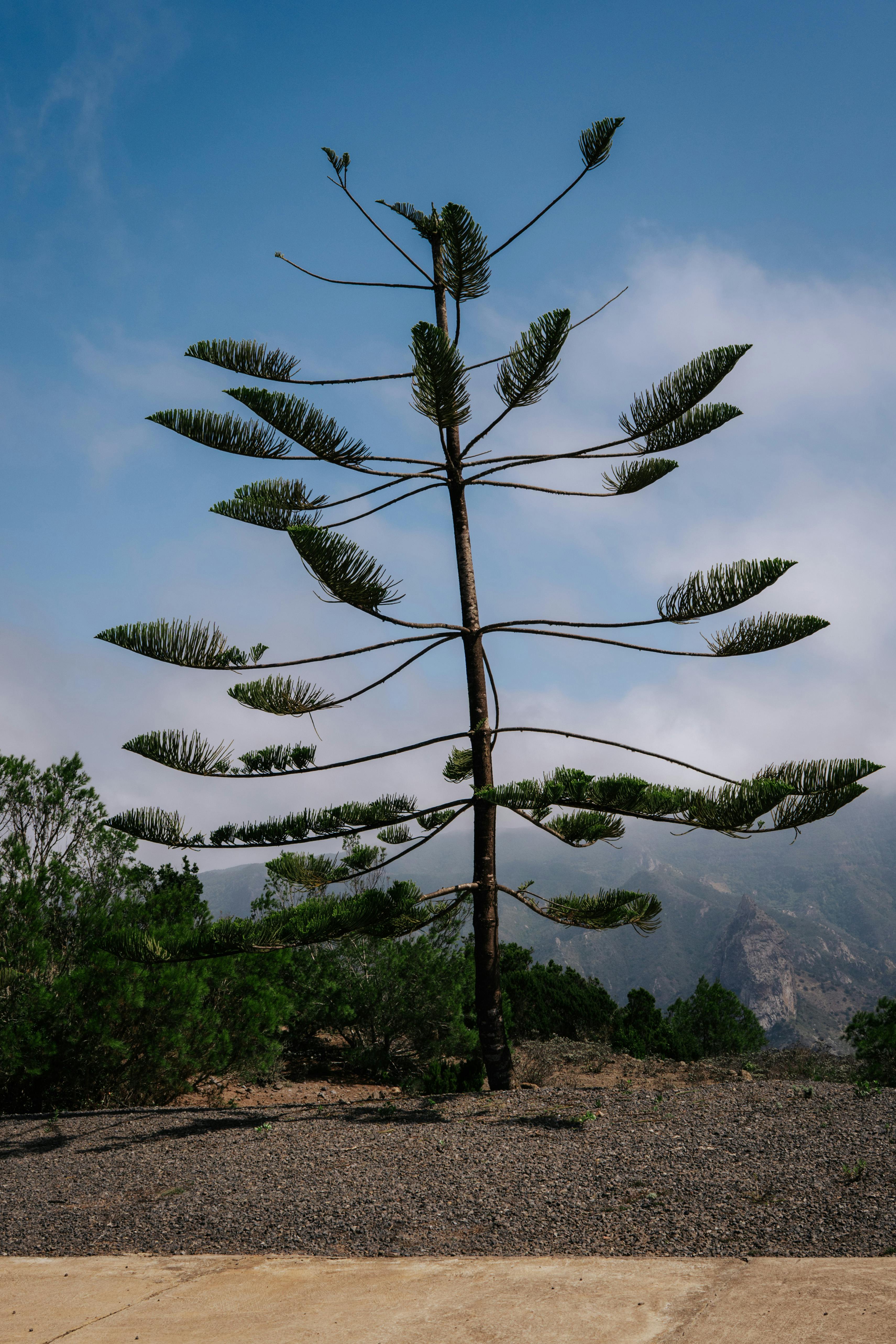 Simple Landscape Photos, Download The BEST Free Simple Landscape Stock ...