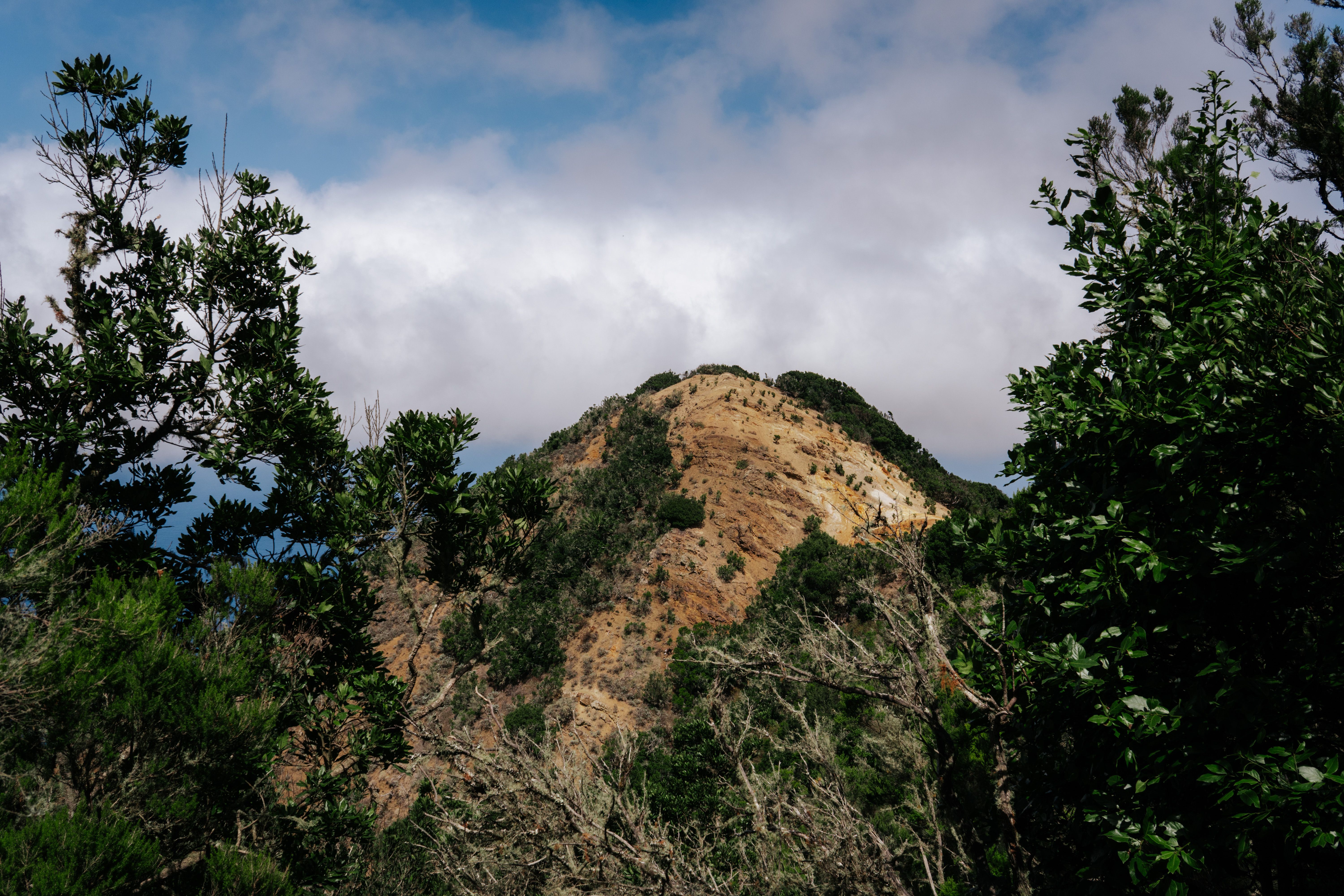 Scenic Mountain View in Vallehermoso, Spain · Free Stock Photo