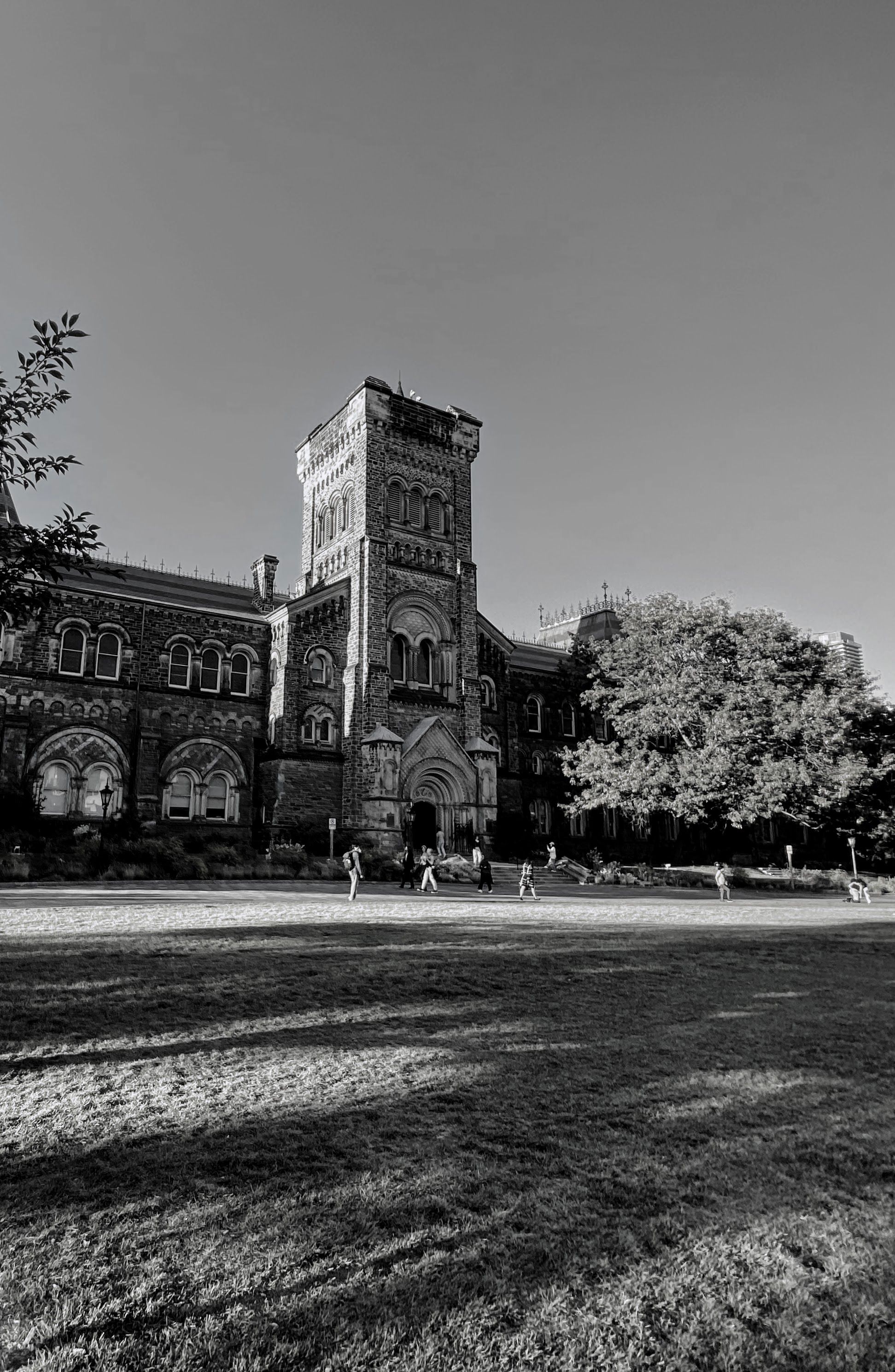 Students Learning Photos, Download The BEST Free Students Learning ...