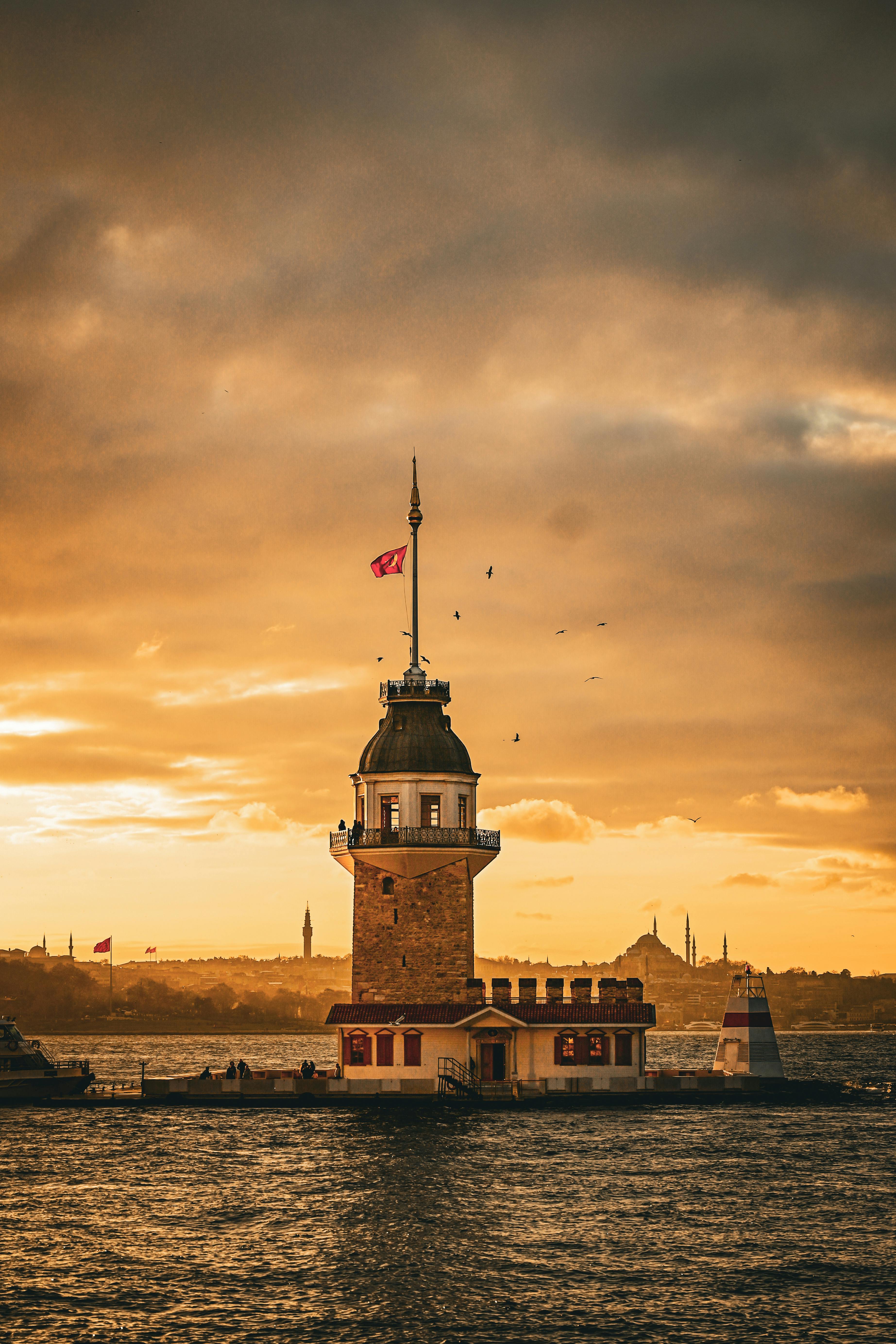 Aerial View Of Swans Photos, Download The BEST Free Aerial View Of ...