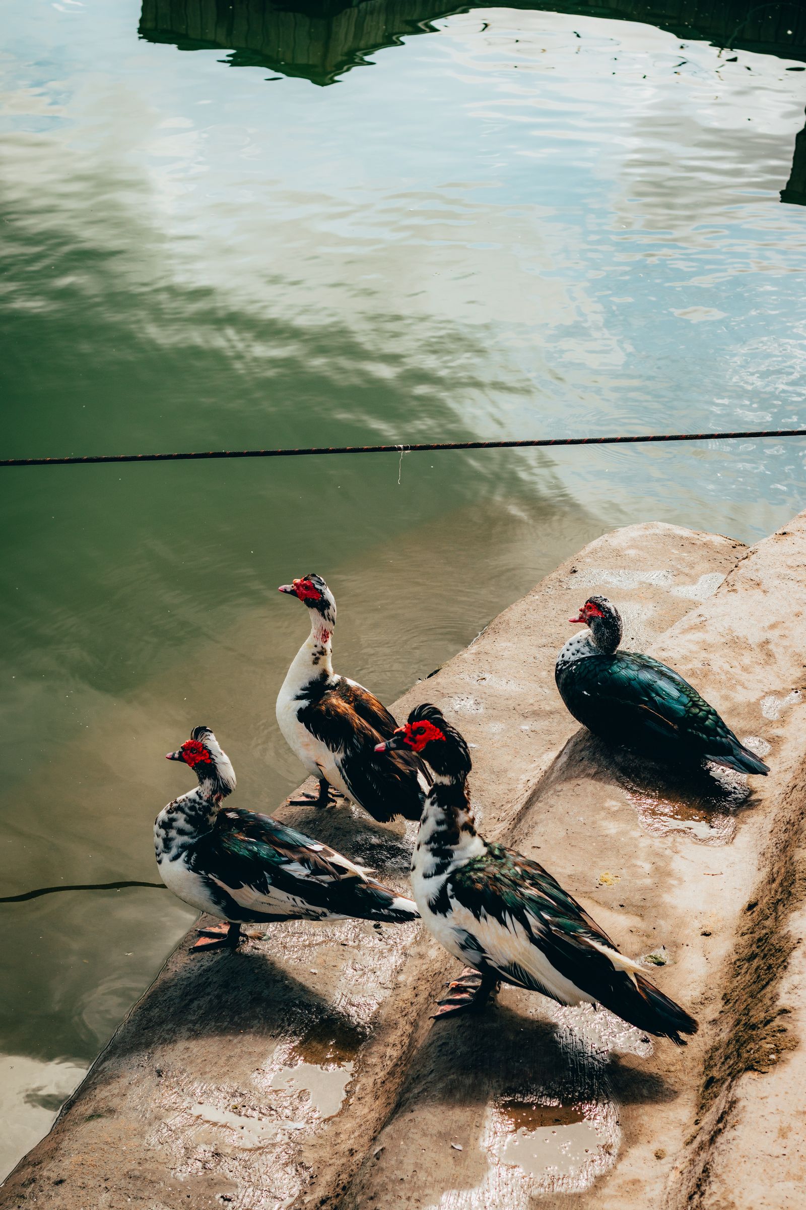 10,000+ Best Feet Photos · 100% Free Download · Pexels Stock Photos