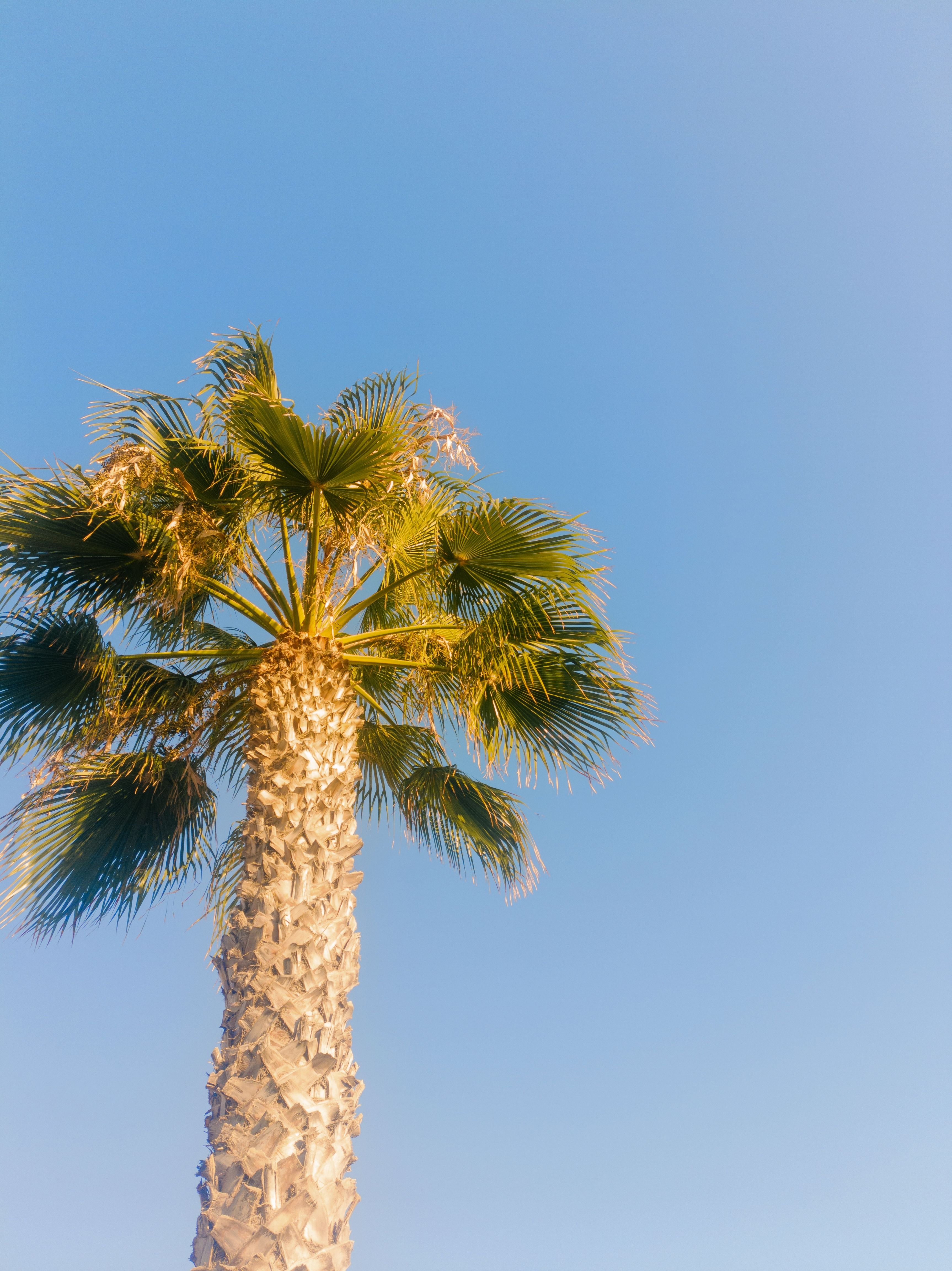 Vertical Photos, Download The BEST Free Vertical Stock Photos & HD Images