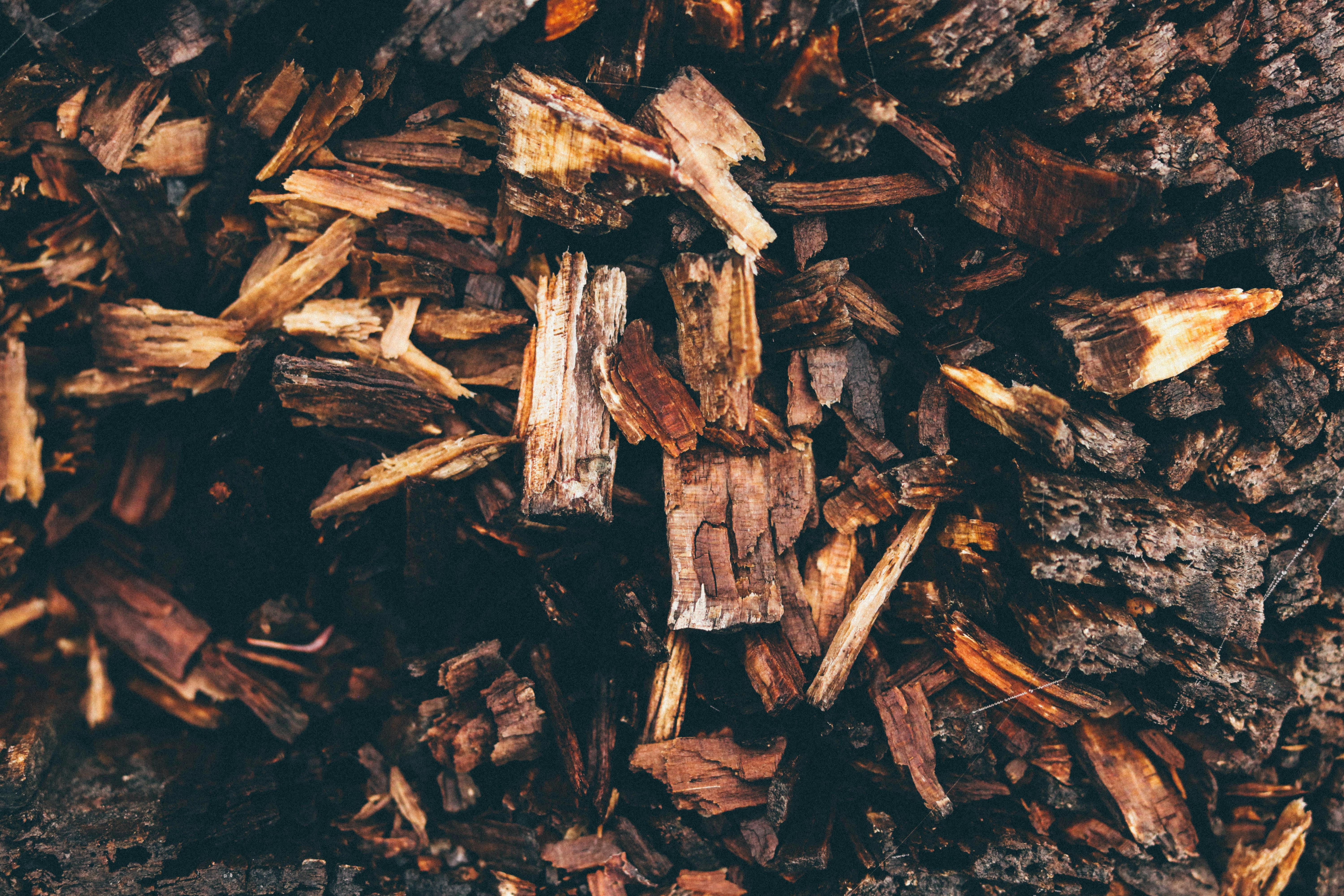 Renewable And Non Renewable Resource Photos, Download The BEST Free ...