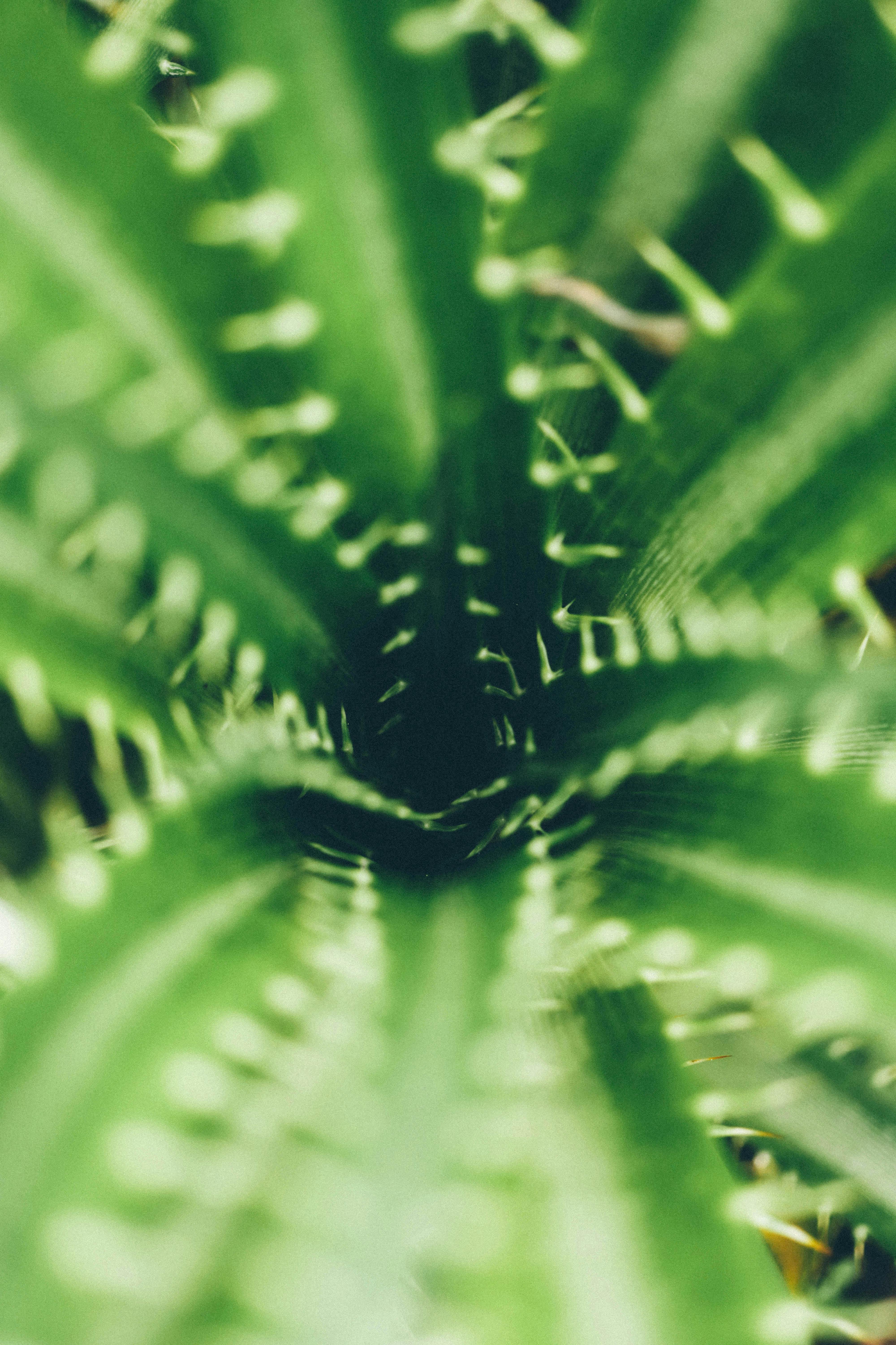 Infinite Zoom Photos, Download The BEST Free Infinite Zoom Stock Photos ...