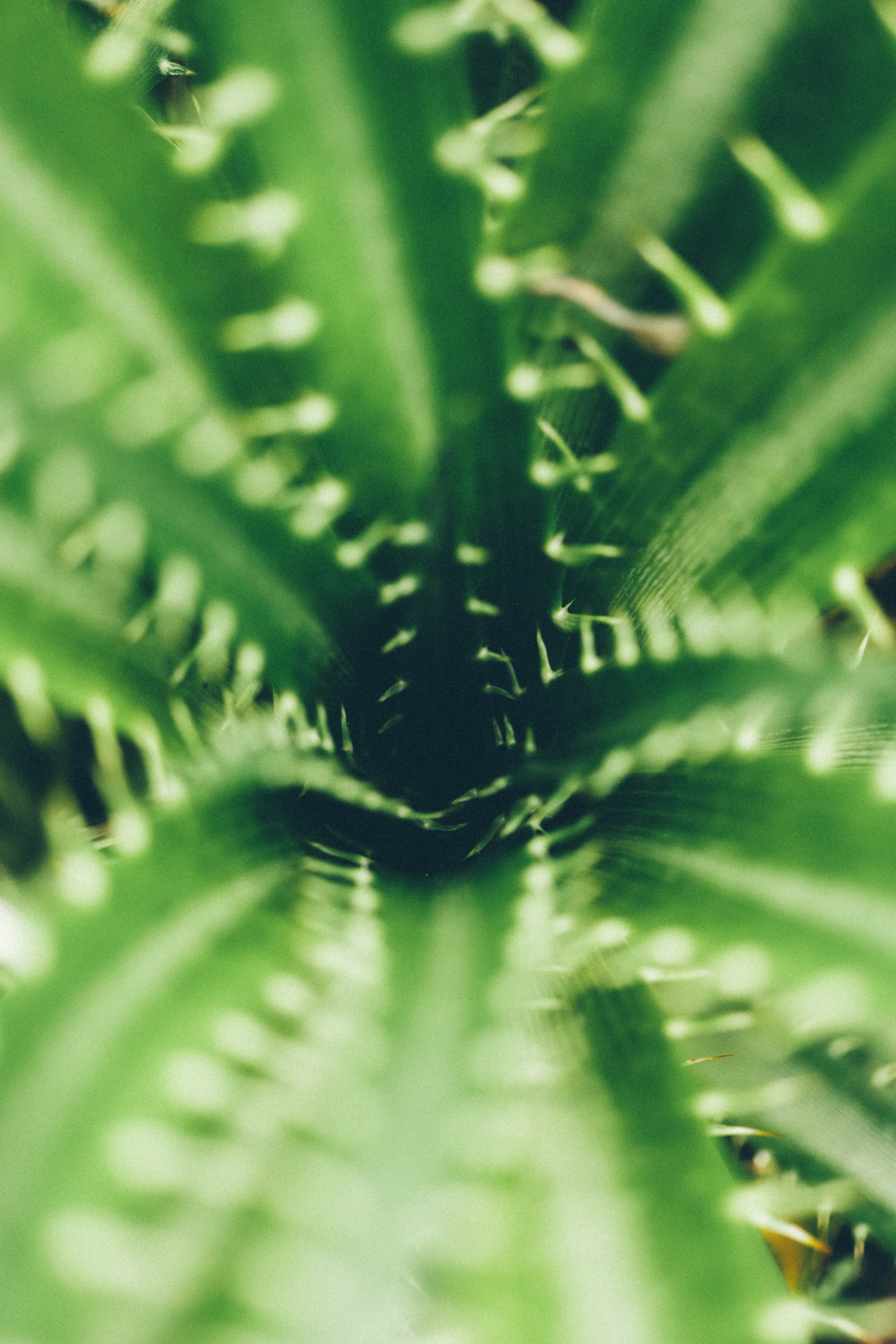 Zoom Backgroundsq Photos, Download The BEST Free Zoom Backgroundsq ...