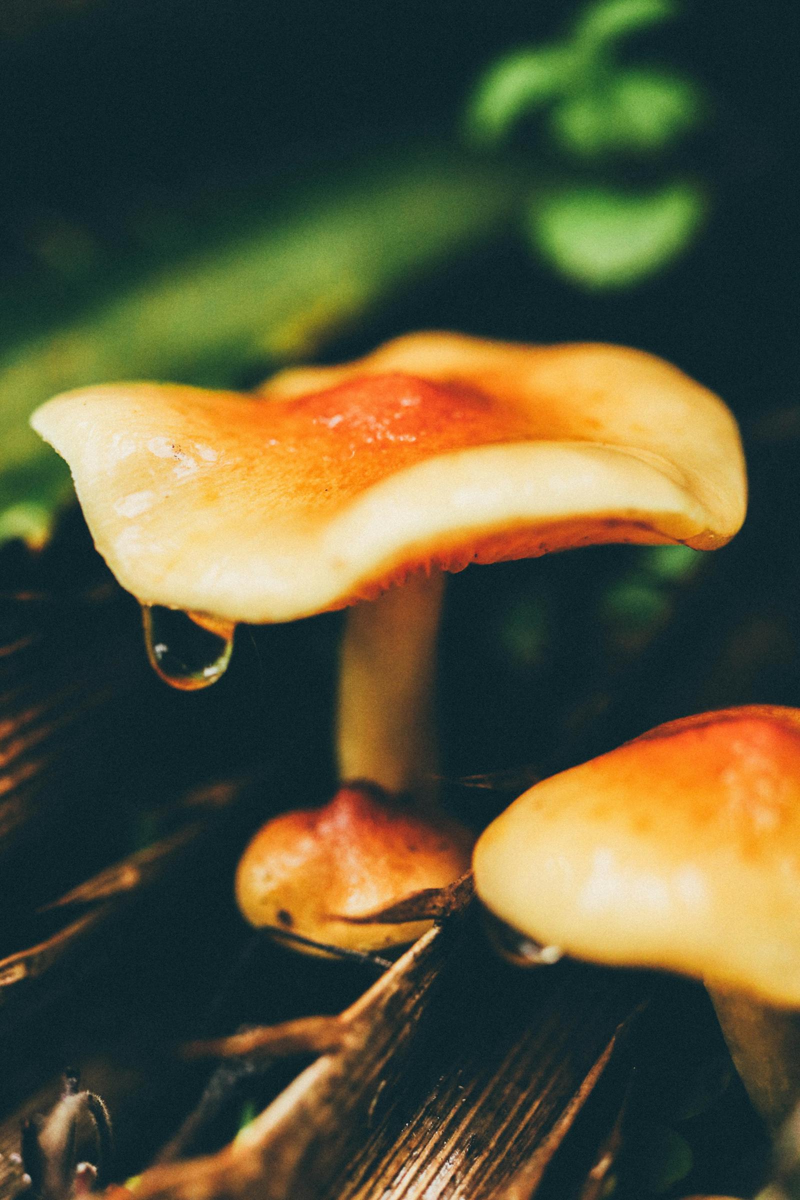 Damp+Lips. Photos, Download The BEST Free Damp+Lips. Stock Photos & HD ...