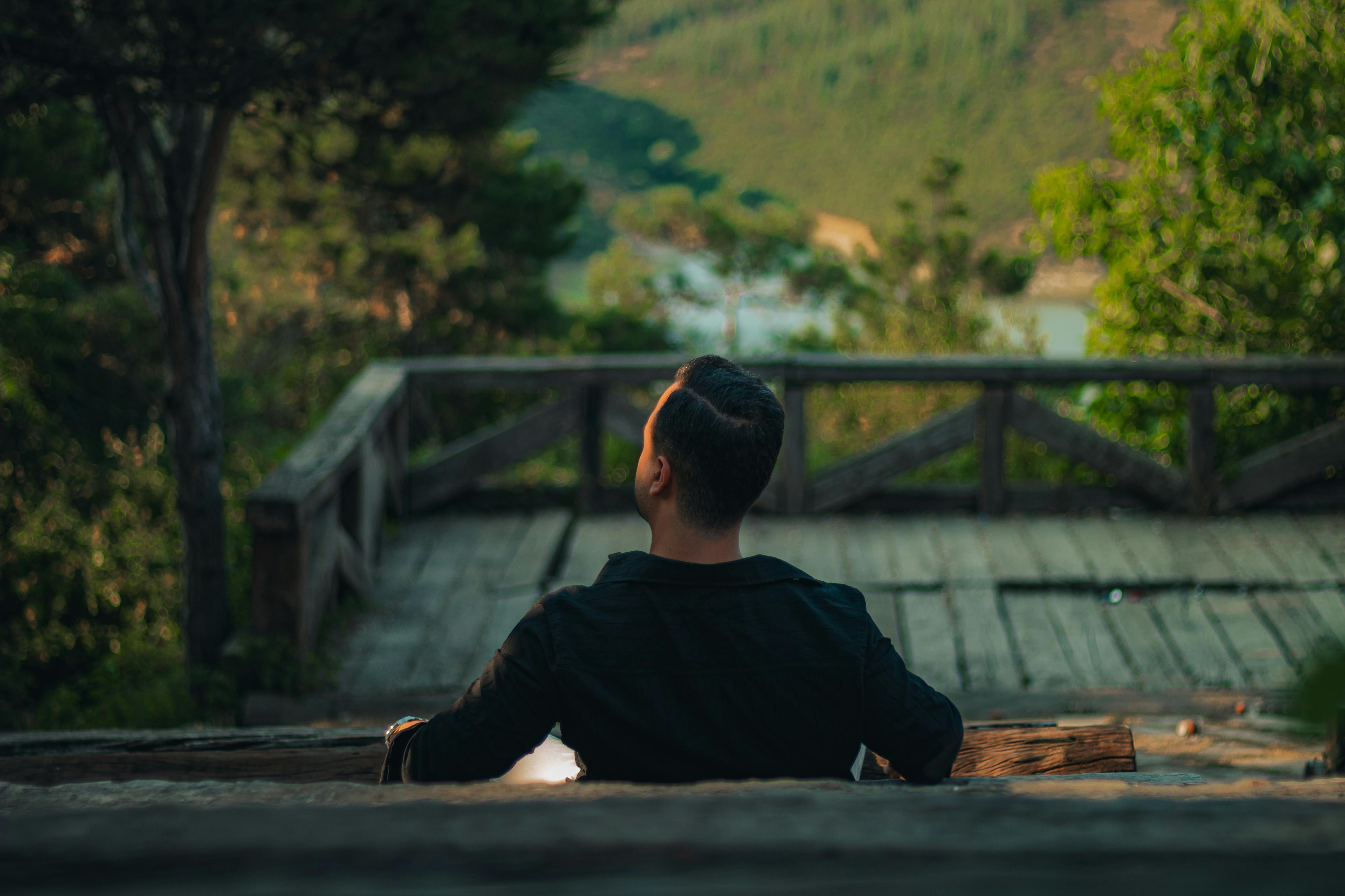 Rear View Photos, Download The BEST Free Rear View Stock Photos & HD Images