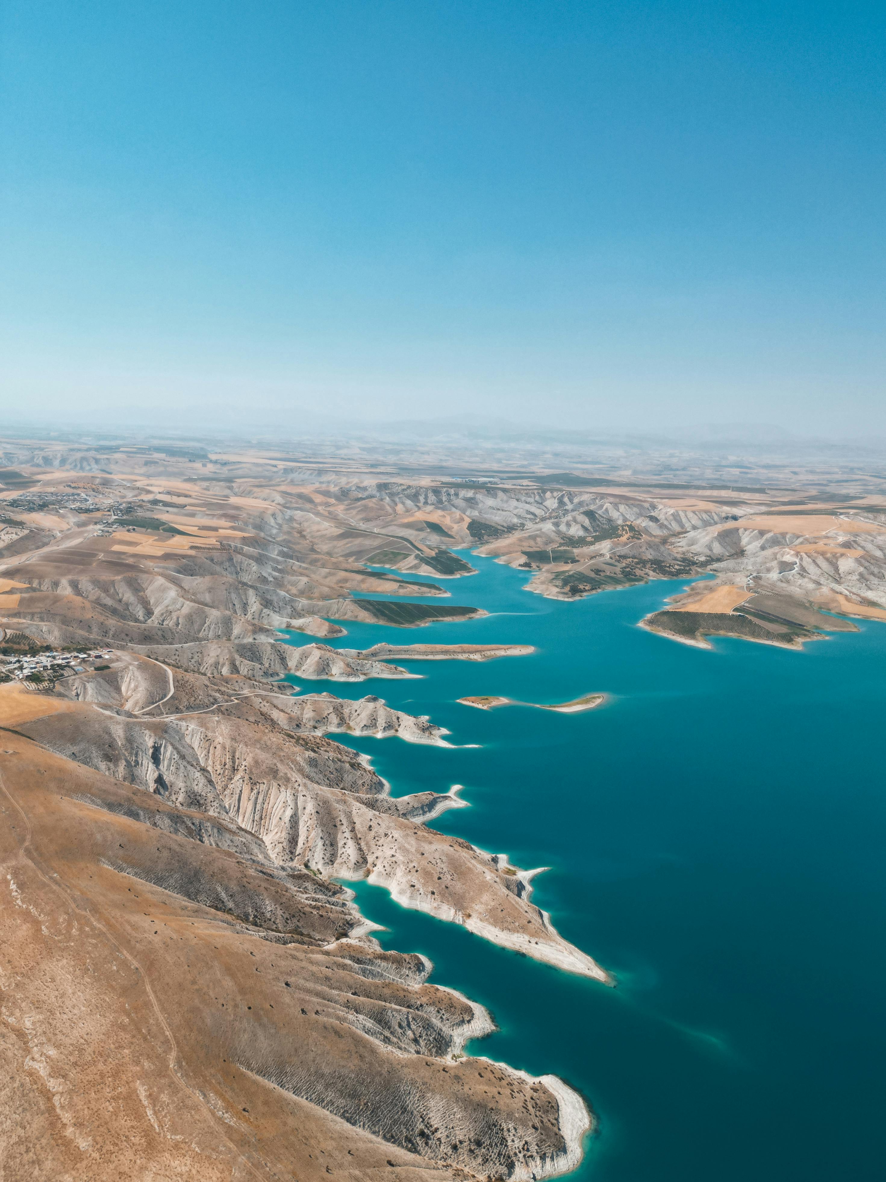 Tan+Lines+Hairy+Bush Photos, Download The BEST Free Tan+Lines+Hairy ...