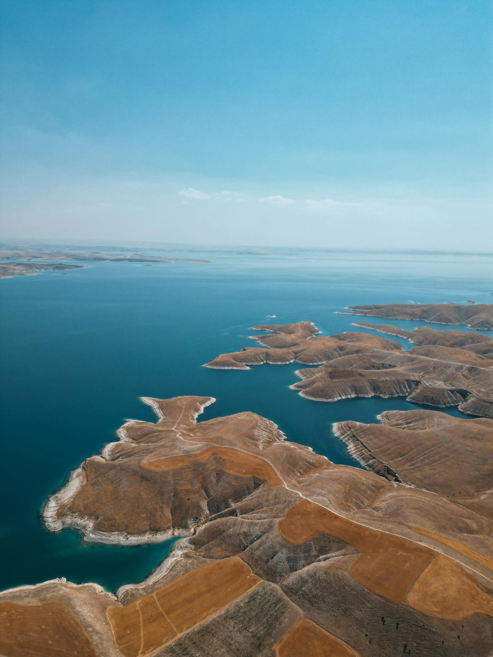 Aerial View Of Swans Photos, Download The BEST Free Aerial View Of ...