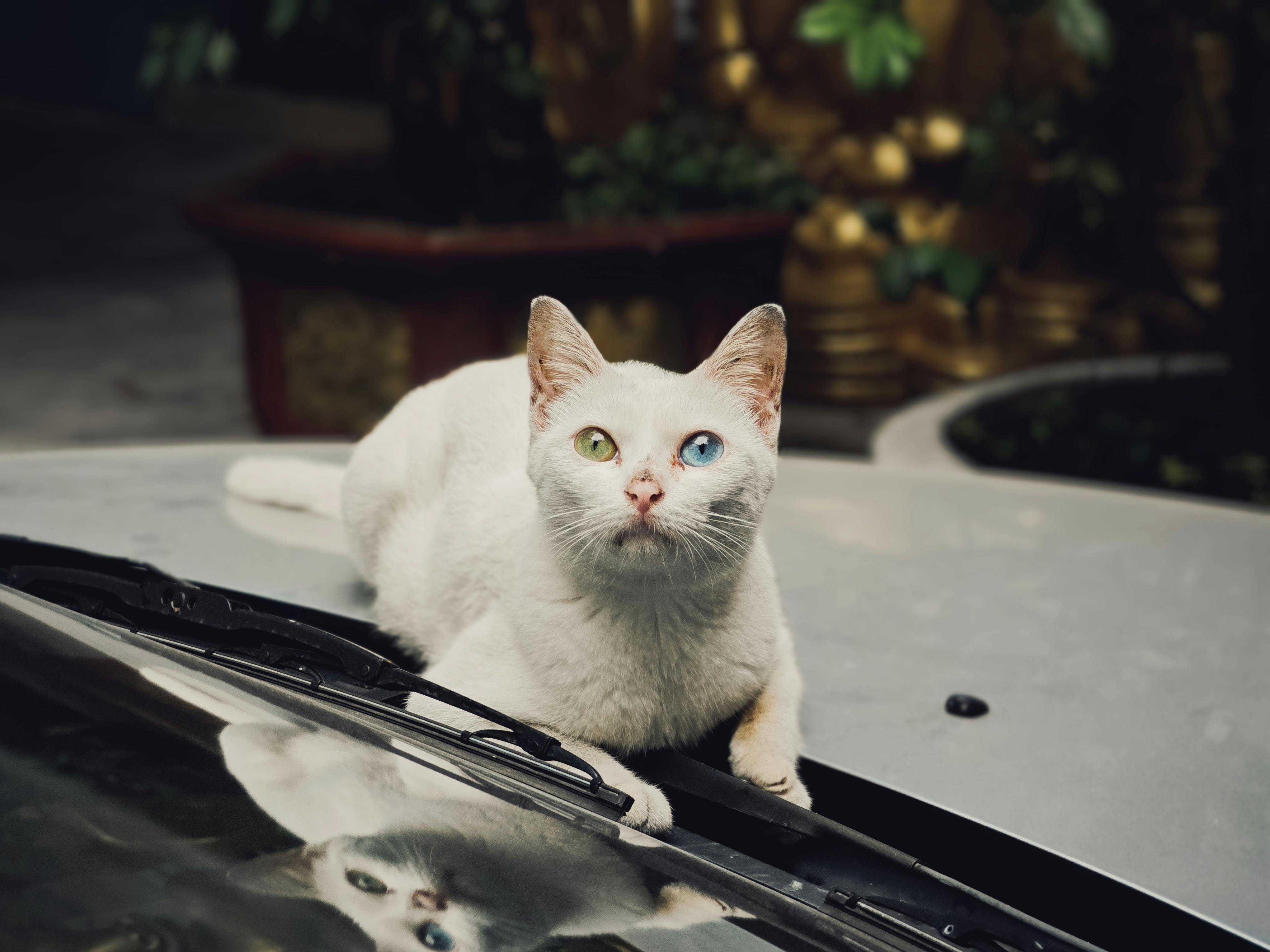 Best+Cute+Traps+Gallery Photos, Download The BEST Free Best+Cute+Traps ...