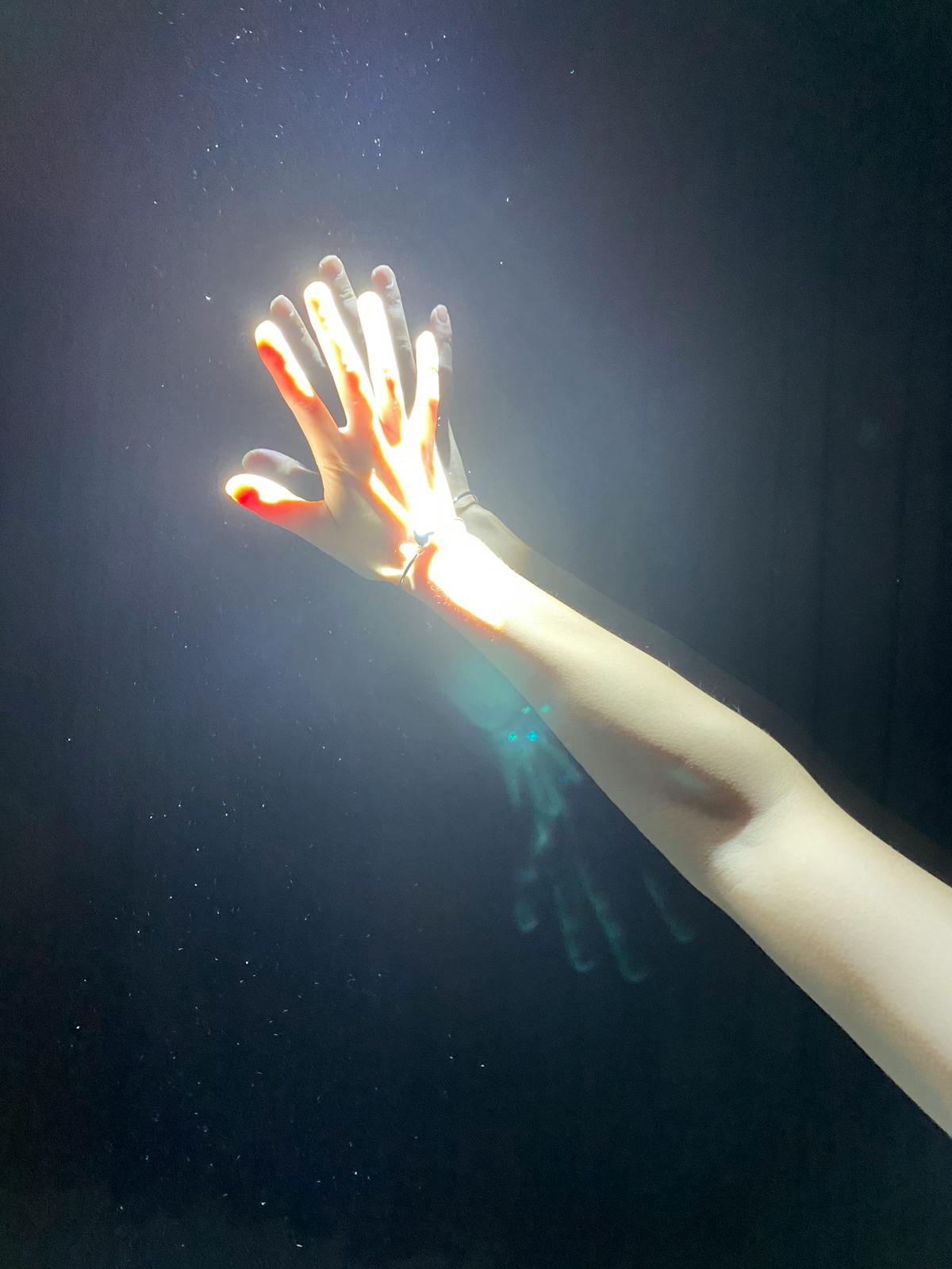 Mystery Saja Photos, Download The BEST Free Mystery Saja Stock Photos ...