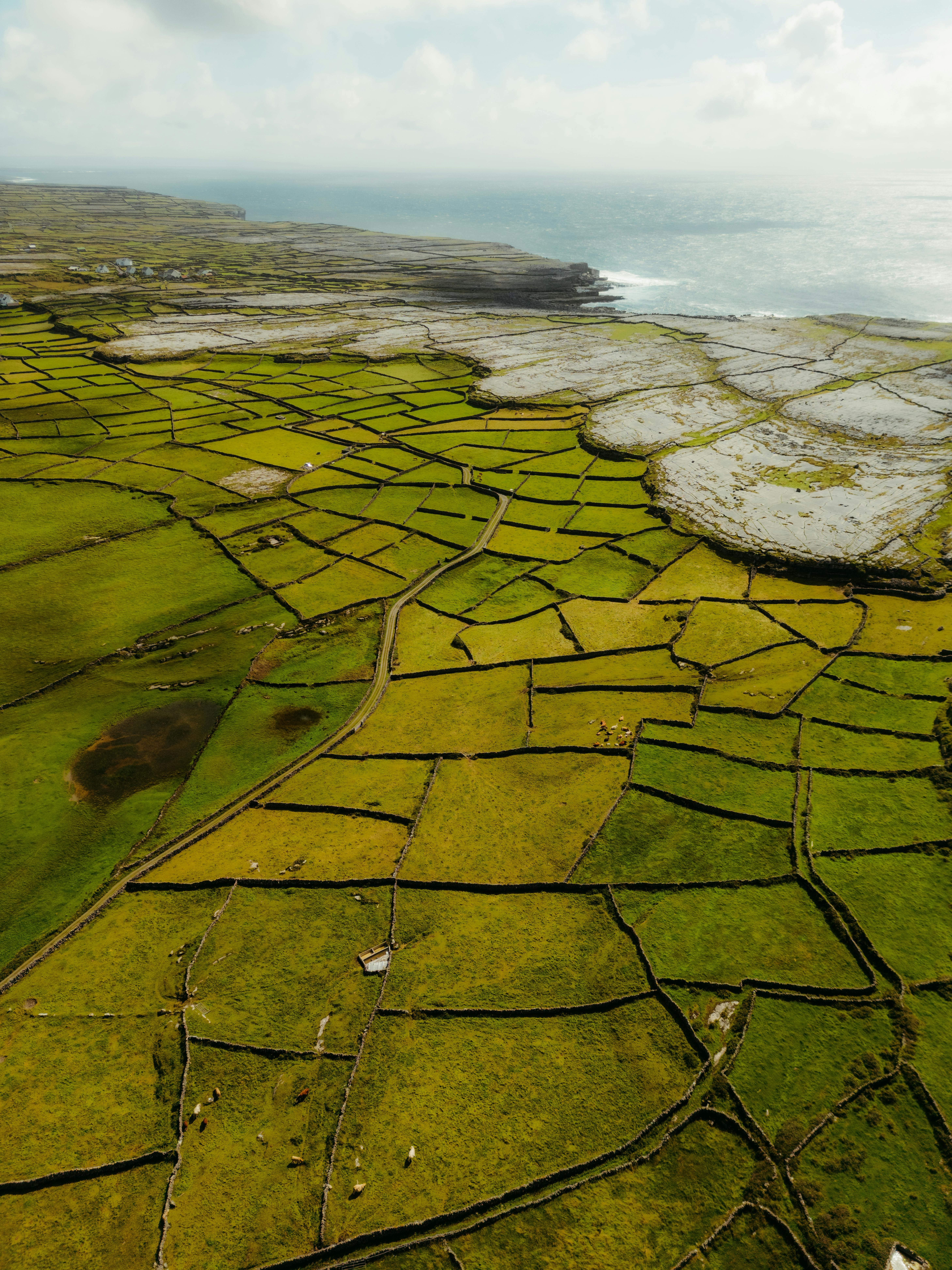 Beautiful+Ladies+Showing+Bare+Crotch Photos, Download The BEST Free ...