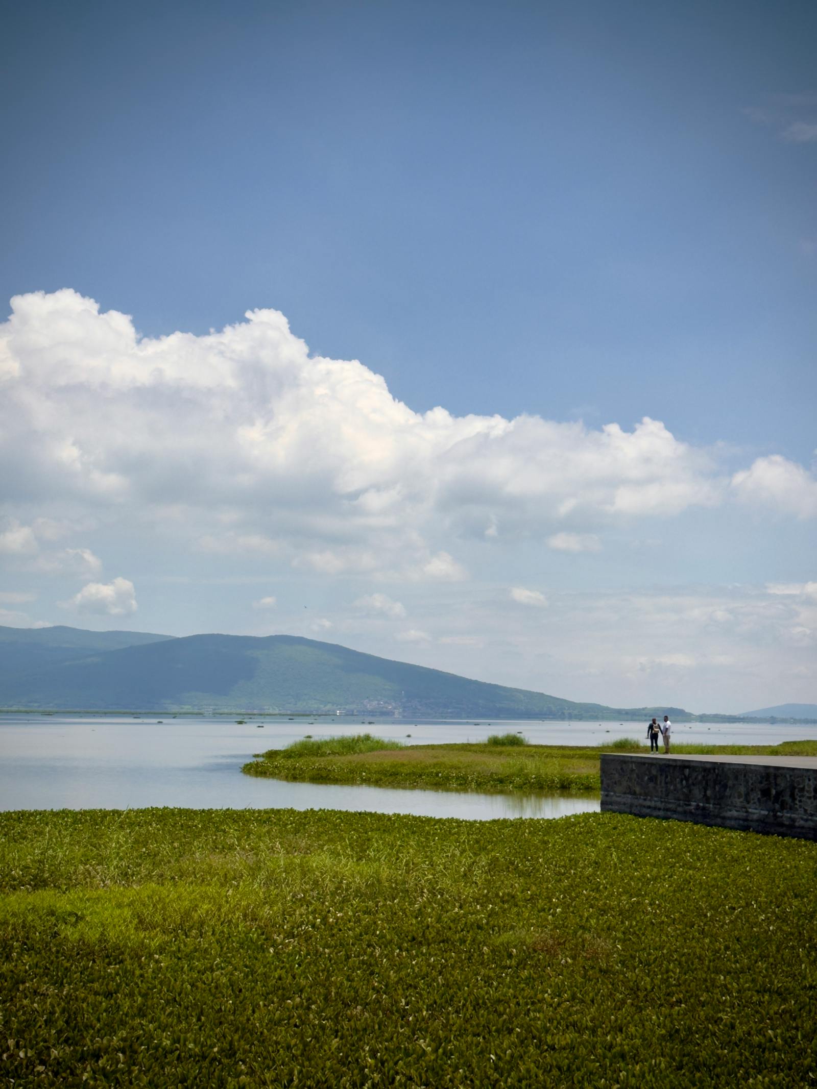 Normal Wallpaper Photos, Download The BEST Free Normal Wallpaper Stock ...