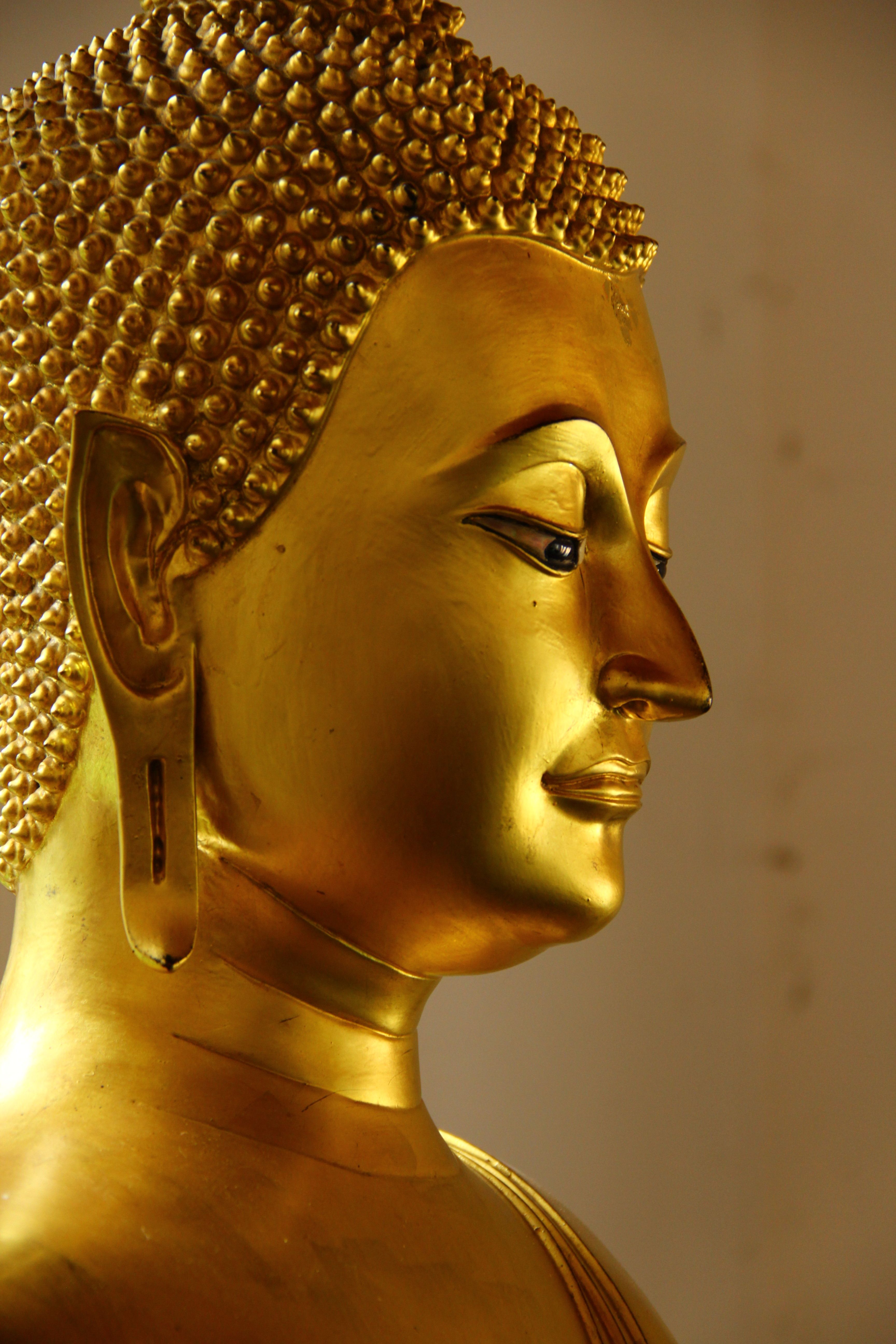 Enlightenment Photos, Download The BEST Free Enlightenment Stock Photos ...