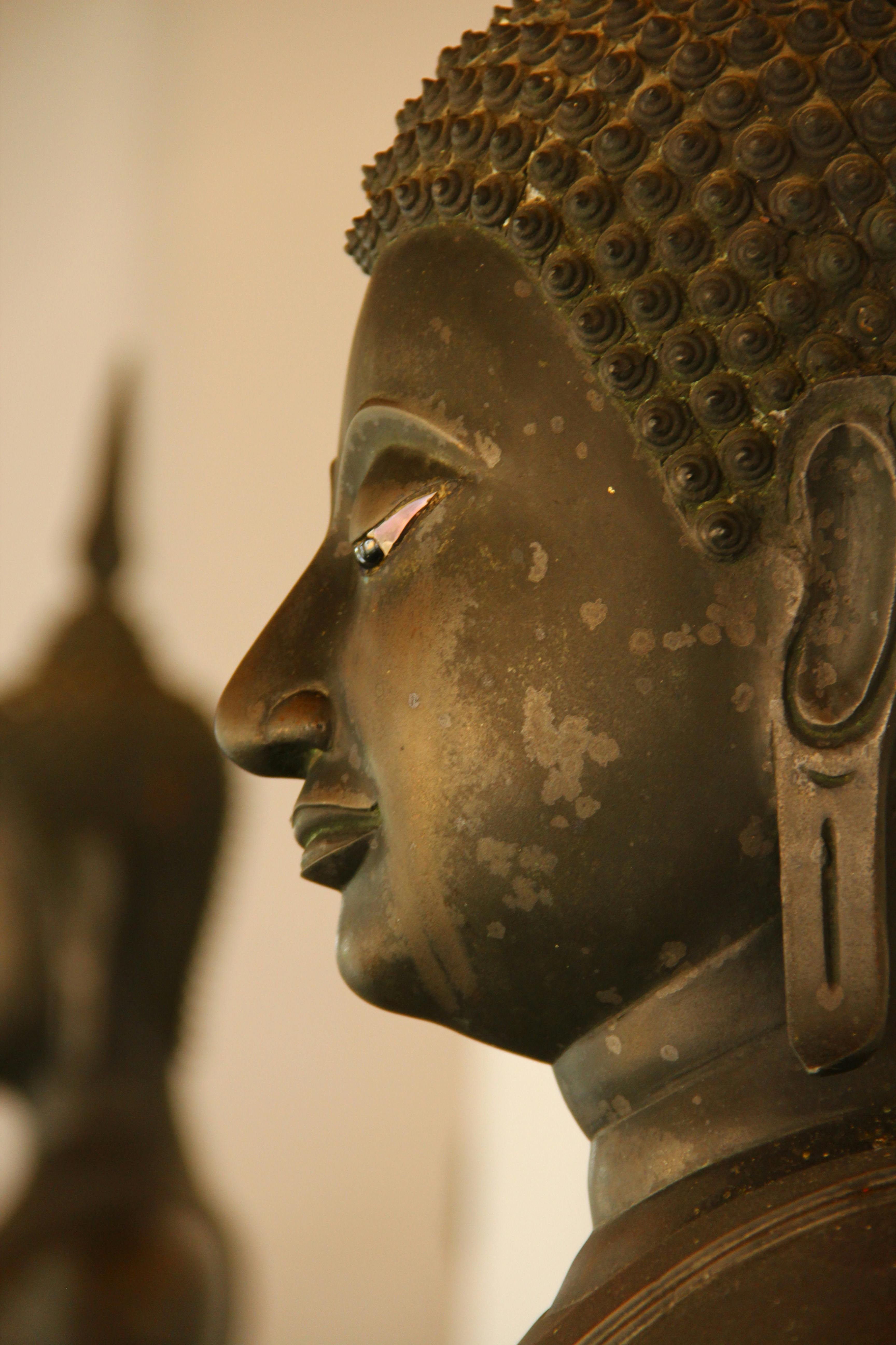 Divine Photos, Download The BEST Free Divine Stock Photos & HD Images