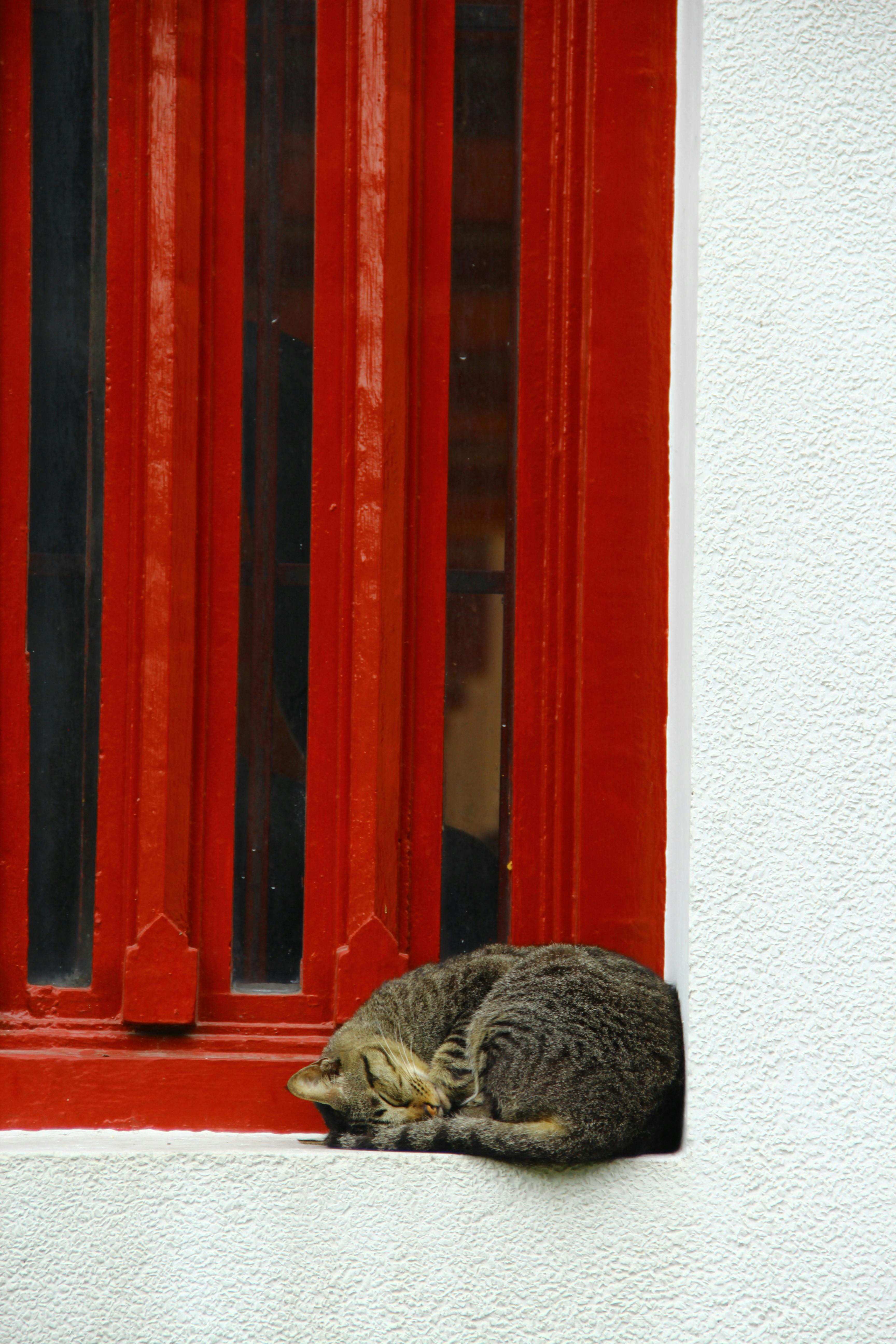 Sleep Apnea Photos, Download The BEST Free Sleep Apnea Stock Photos ...