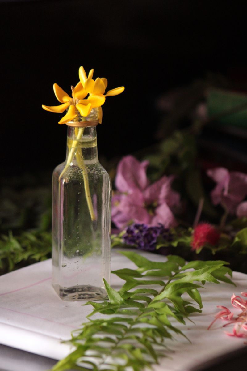 Nature Flowers Photos, Download The BEST Free Nature Flowers Stock ...