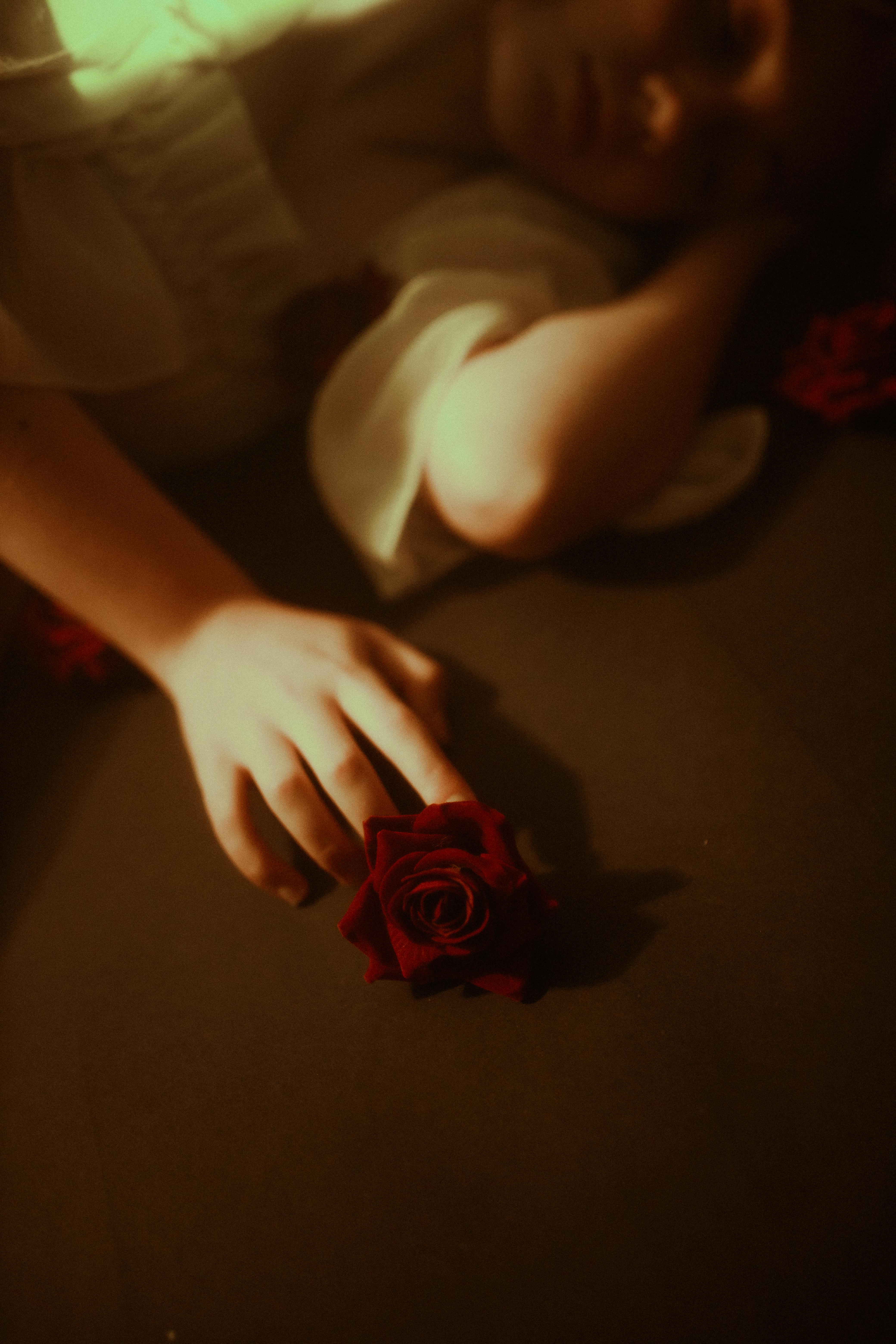 Sensitive Photos, Download The BEST Free Sensitive Stock Photos & HD Images