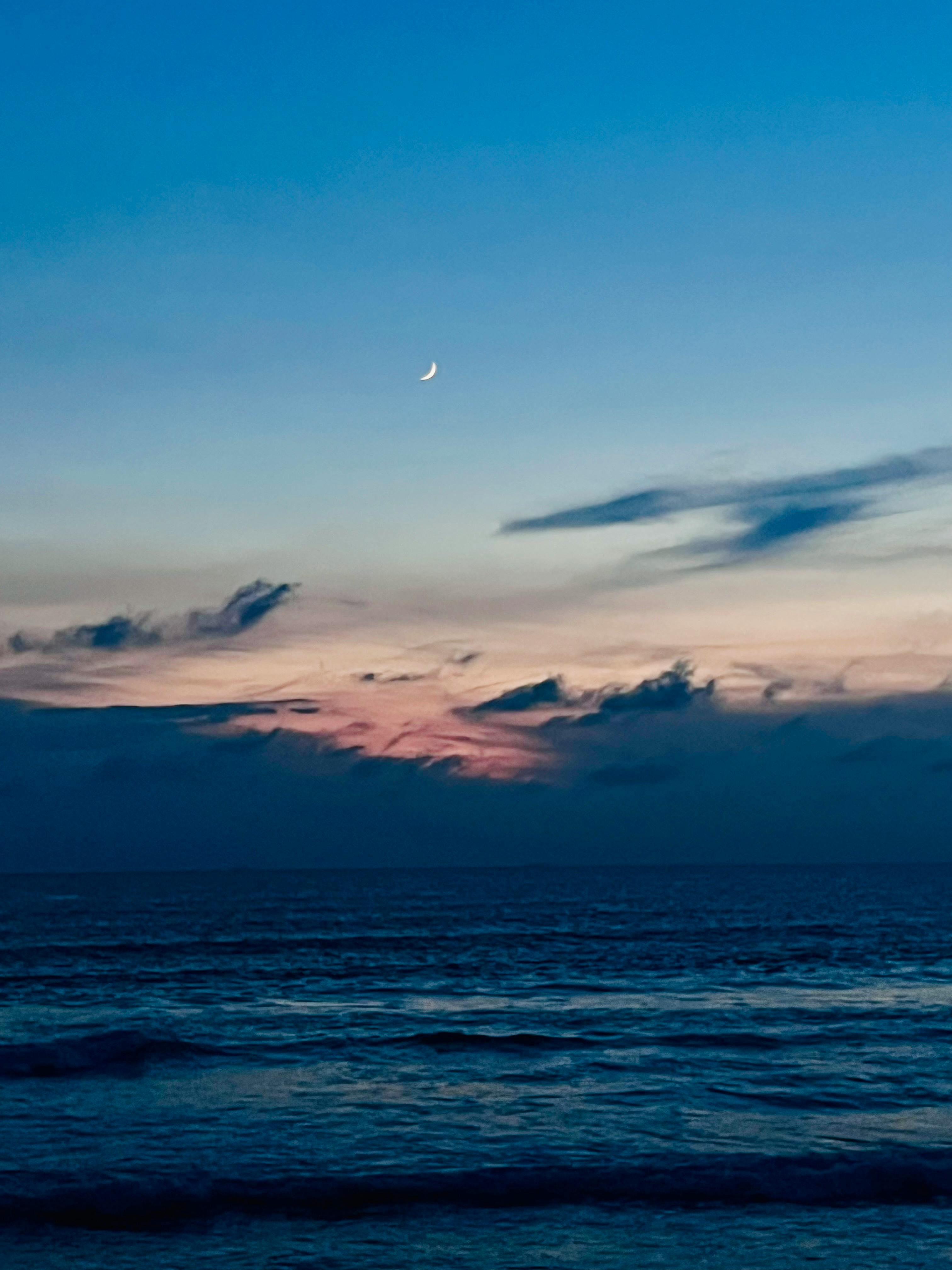 Moon Pfp Photos, Download The BEST Free Moon Pfp Stock Photos & HD Images