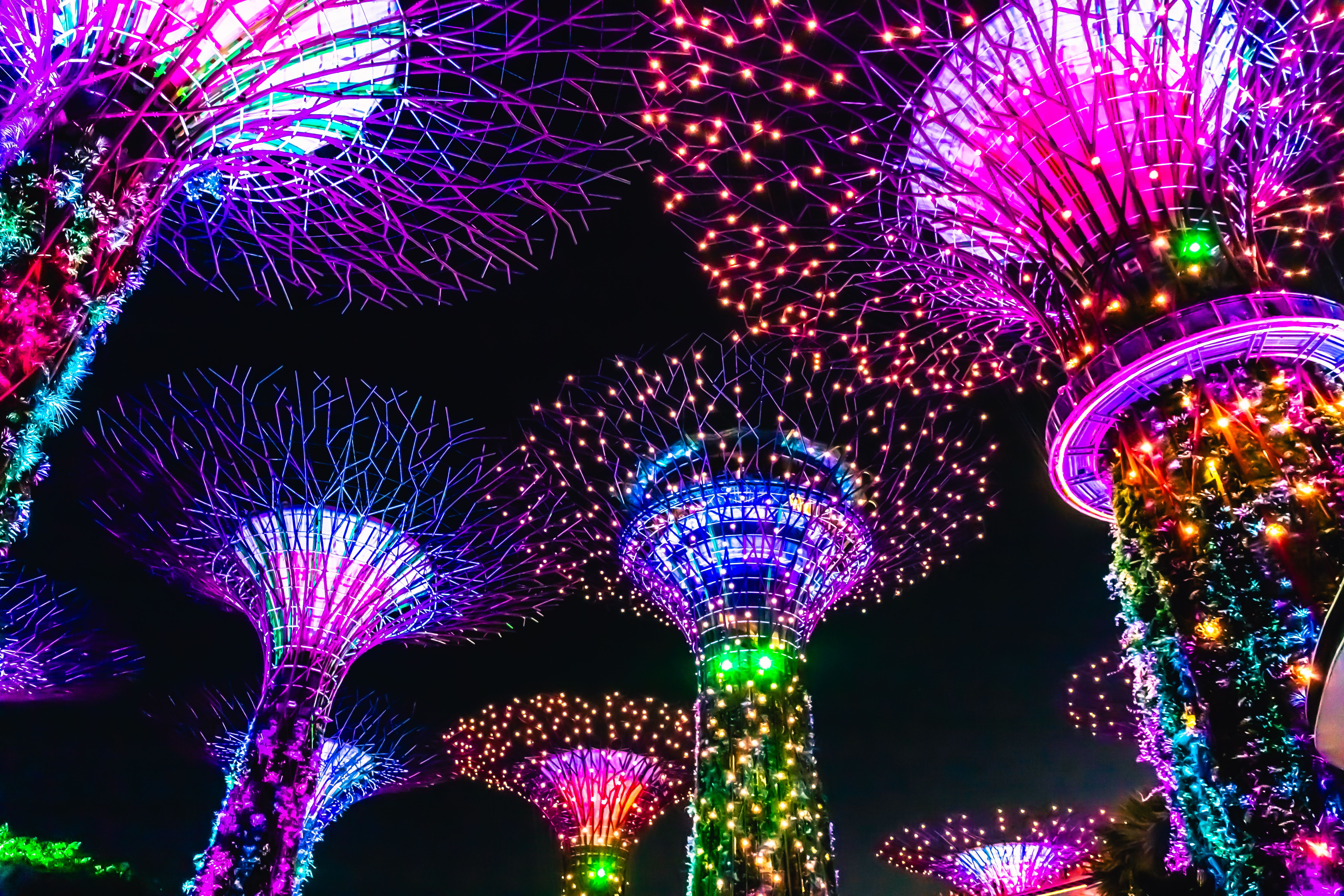 Lighted Supertree Grove · Free Stock Photo