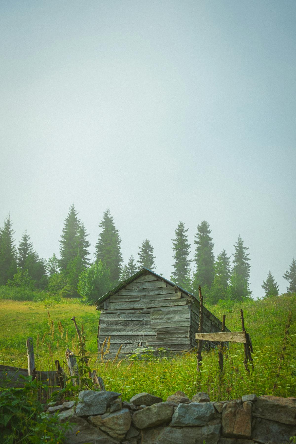 Tan+Lines+Hairy+Bush Photos, Download The BEST Free Tan+Lines+Hairy ...