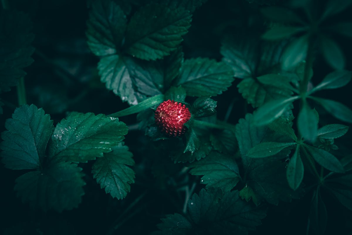 Widget Background Photos, Download The BEST Free Widget Background ...