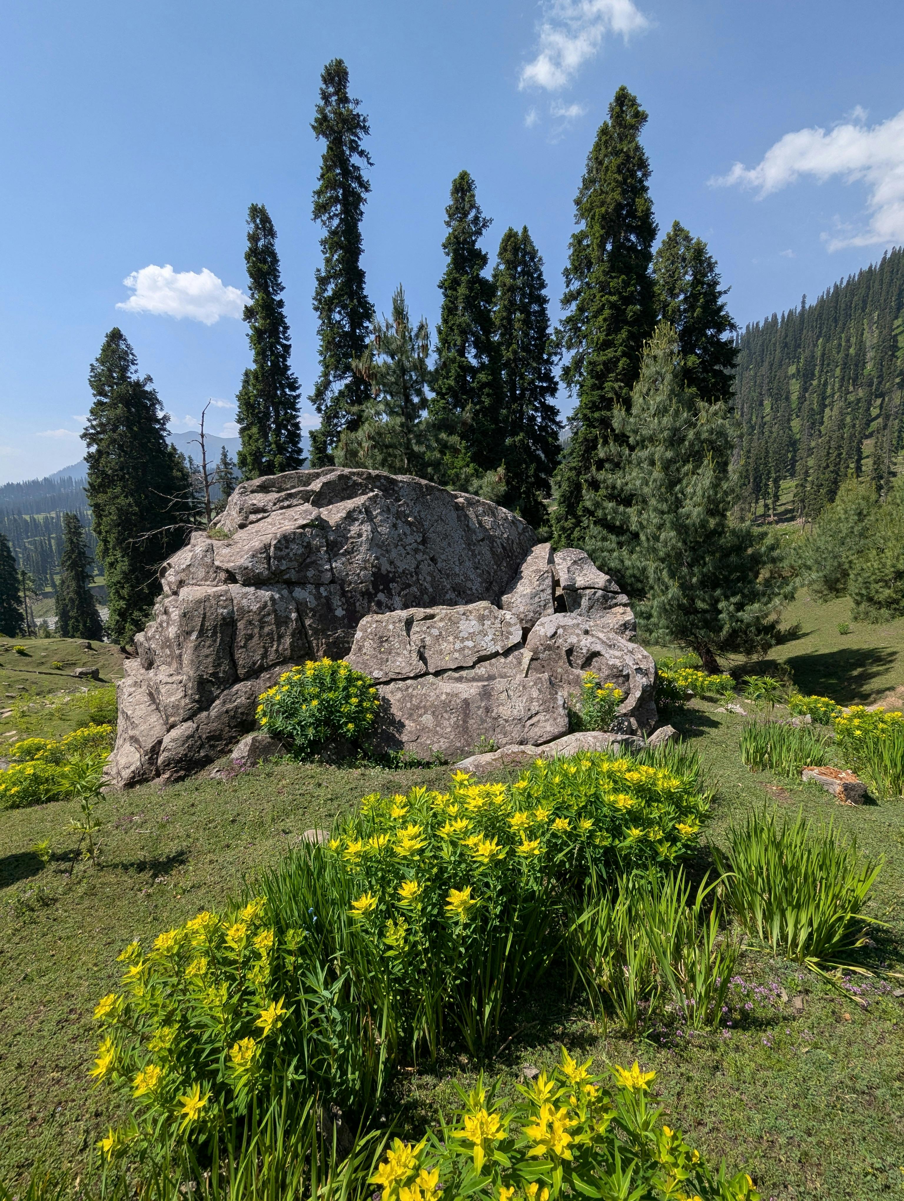 Land Chut Photos, Download The BEST Free Land Chut Stock Photos & HD Images