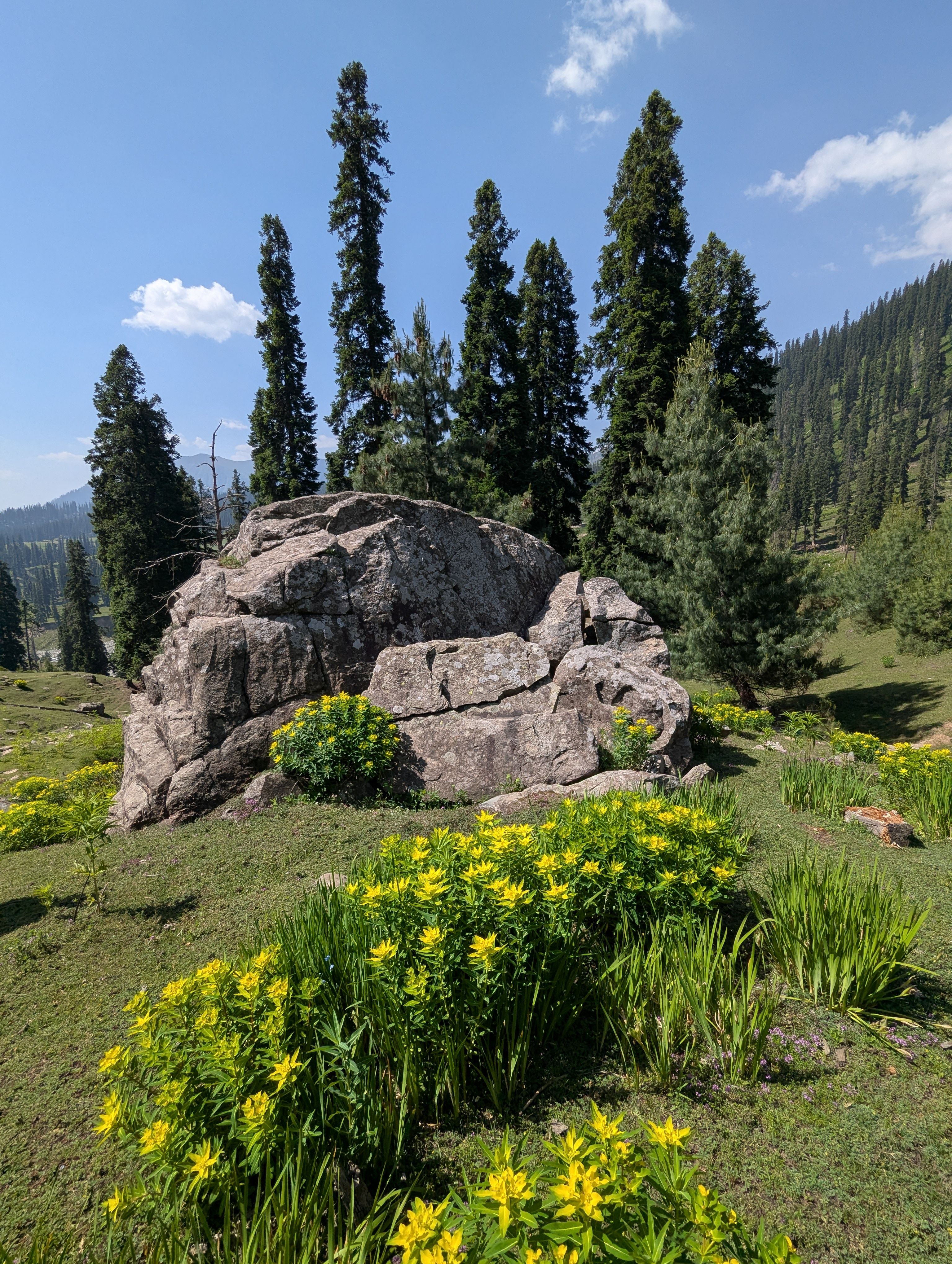 Jhanda India Photos, Download The BEST Free Jhanda India Stock Photos ...