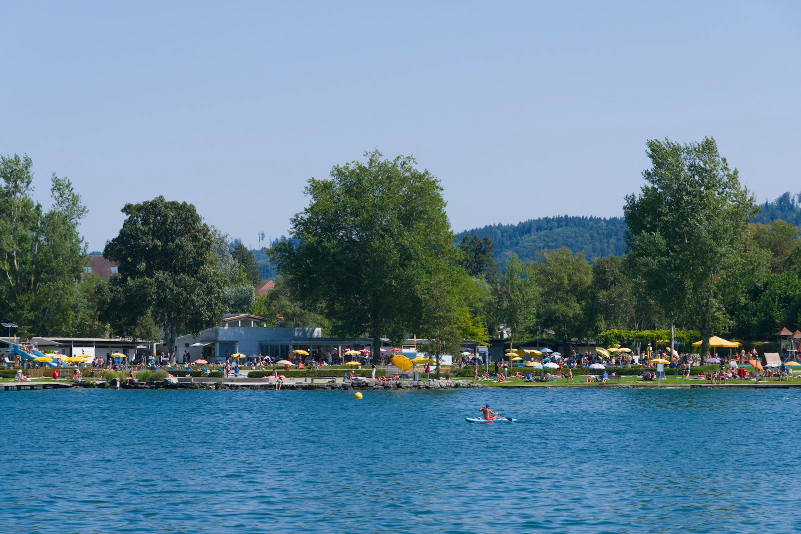 Dee+Dee+Gatton+Swim+Suit Photos, Download The BEST Free Dee+Dee+Gatton ...