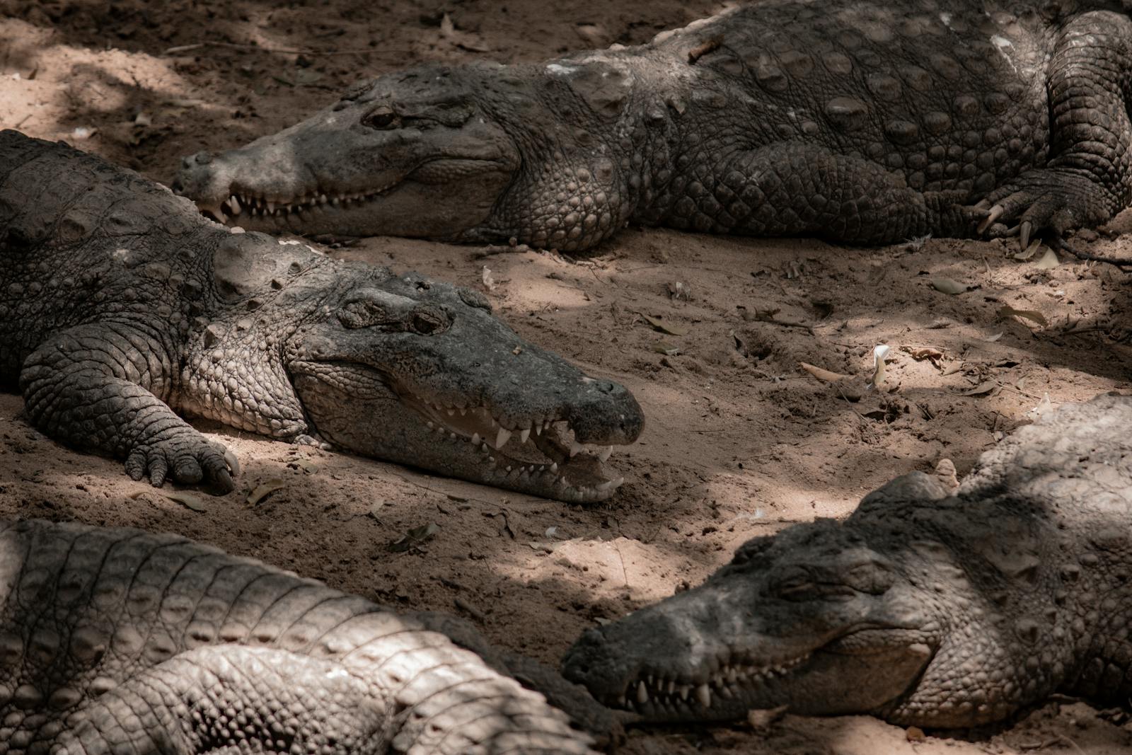 Anime+Jpg Photos, Download The BEST Free Anime+Jpg Stock Photos & HD Images