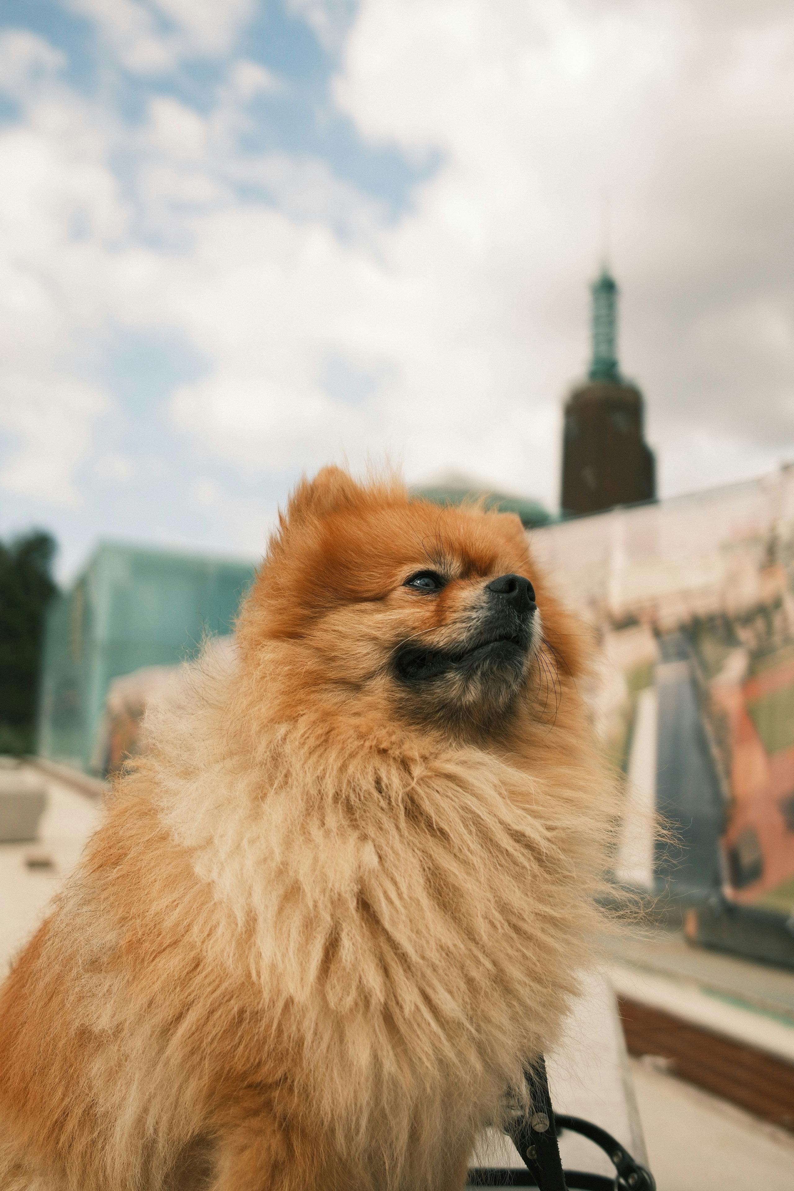 Best+Cute+Traps+Gallery Photos, Download The BEST Free Best+Cute+Traps ...