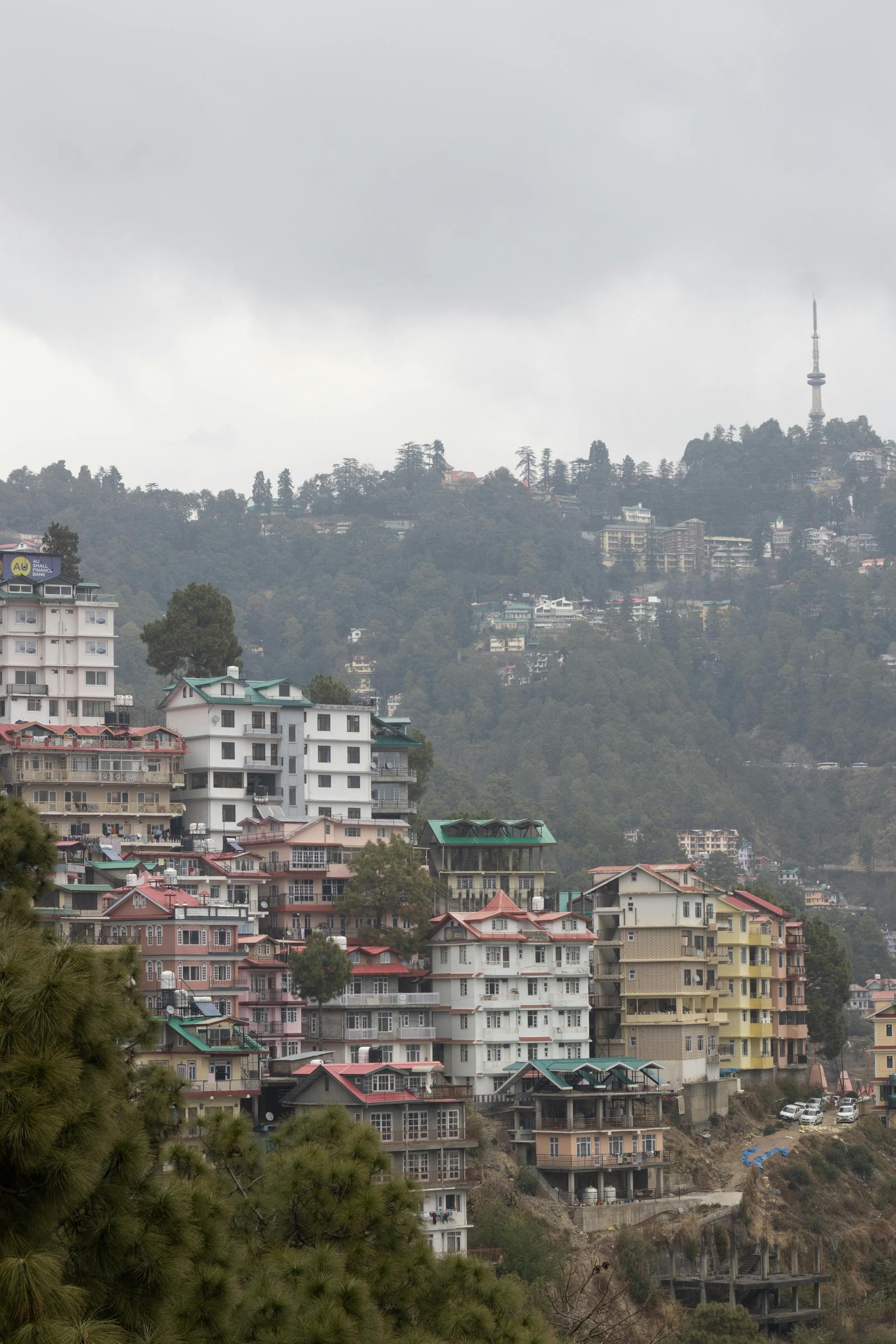 Shimla Himachal Pradesh Photos, Download The BEST Free Shimla Himachal ...