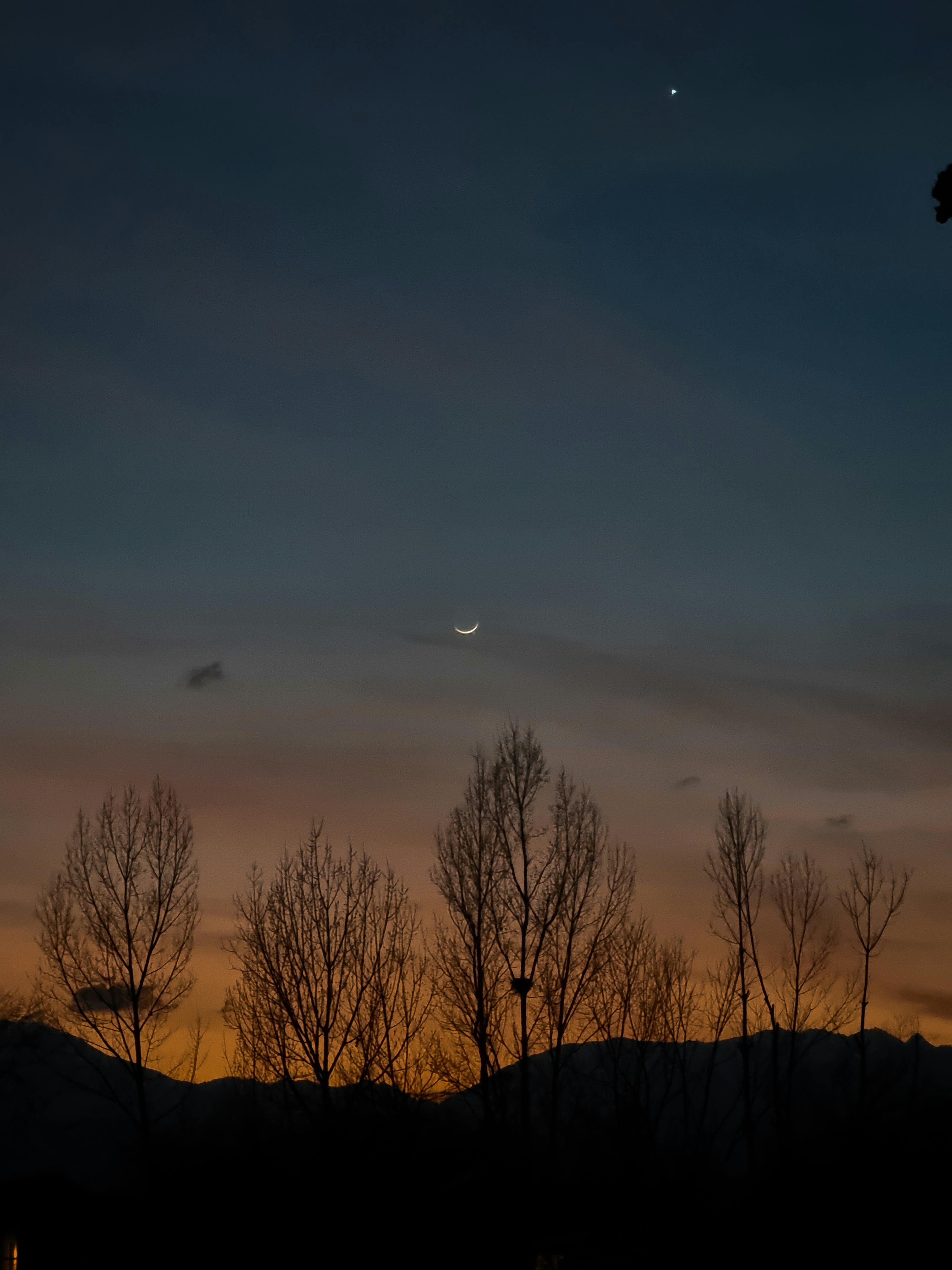 Kuma+Photo+Tanzania Photos, Download The BEST Free Kuma+Photo+Tanzania ...