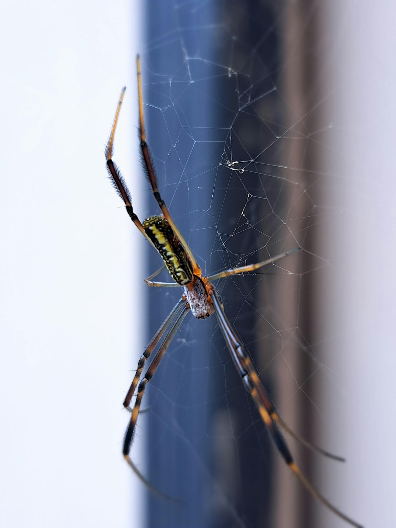 Creature Photos, Download The BEST Free Creature Stock Photos & HD Images