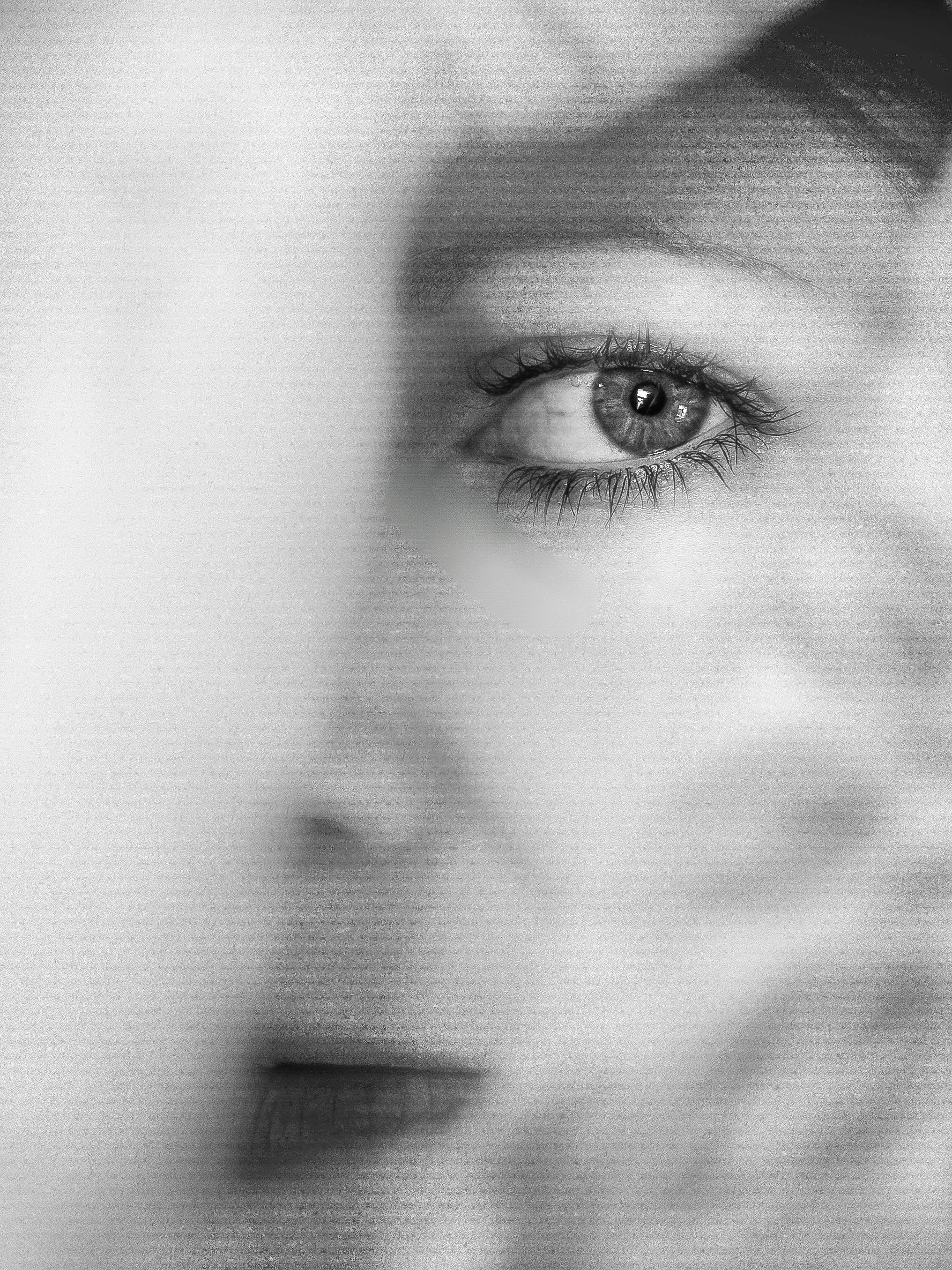 Sensitive Photos, Download The BEST Free Sensitive Stock Photos & HD Images