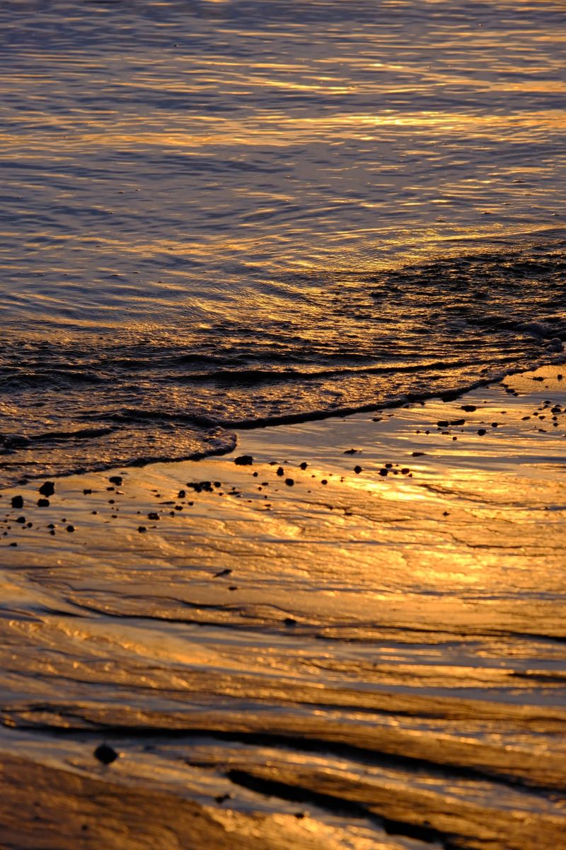 256 X 256 Photos, Download The BEST Free 256 X 256 Stock Photos & HD Images
