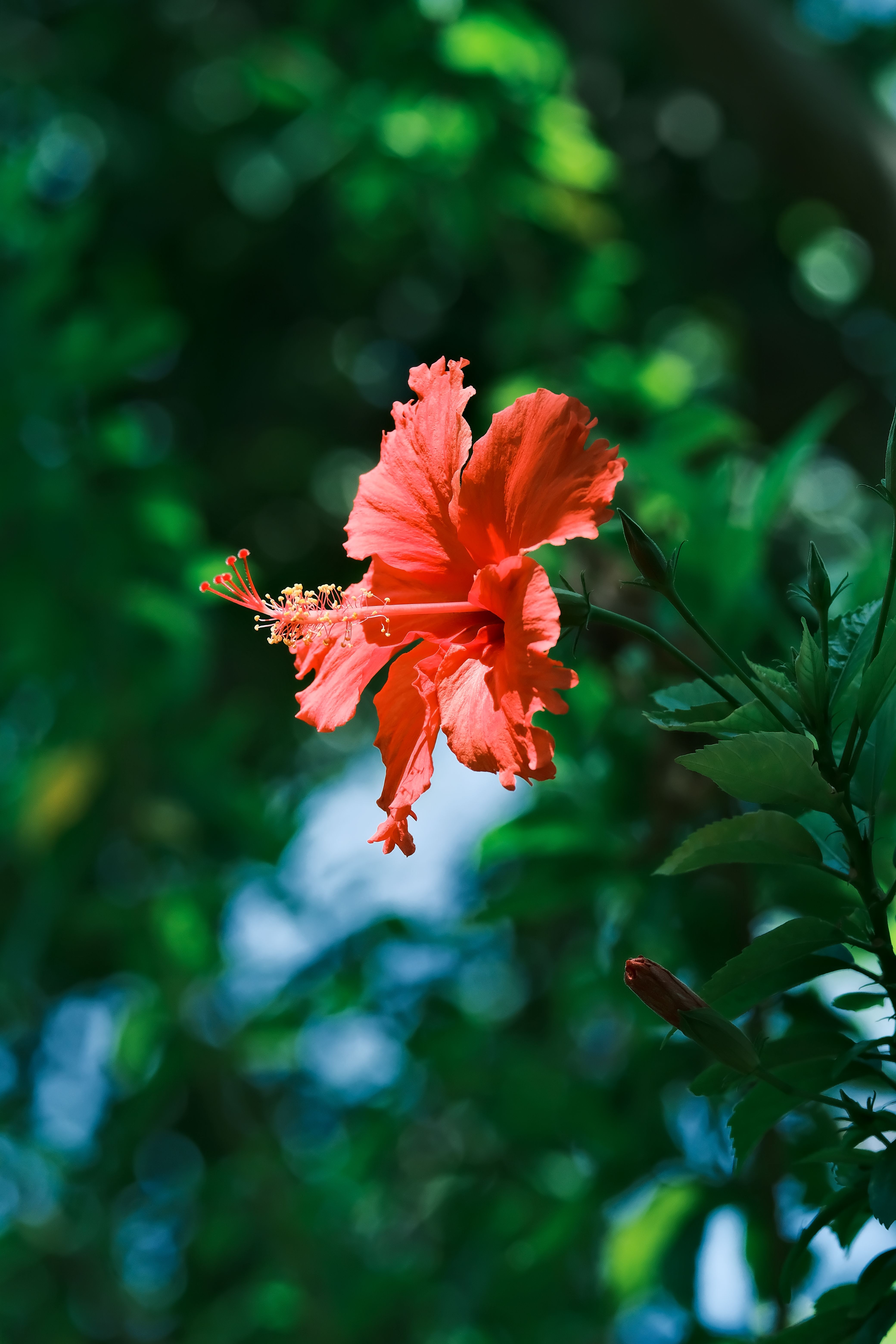 Cote+De+Pablo+Exotic+Raw Photos, Download The BEST Free Cote+De+Pablo ...