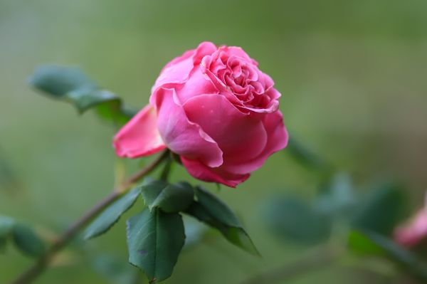 Hdbeautifulnakedgirls Photos Download The Best Free Hdbeautiful 2601