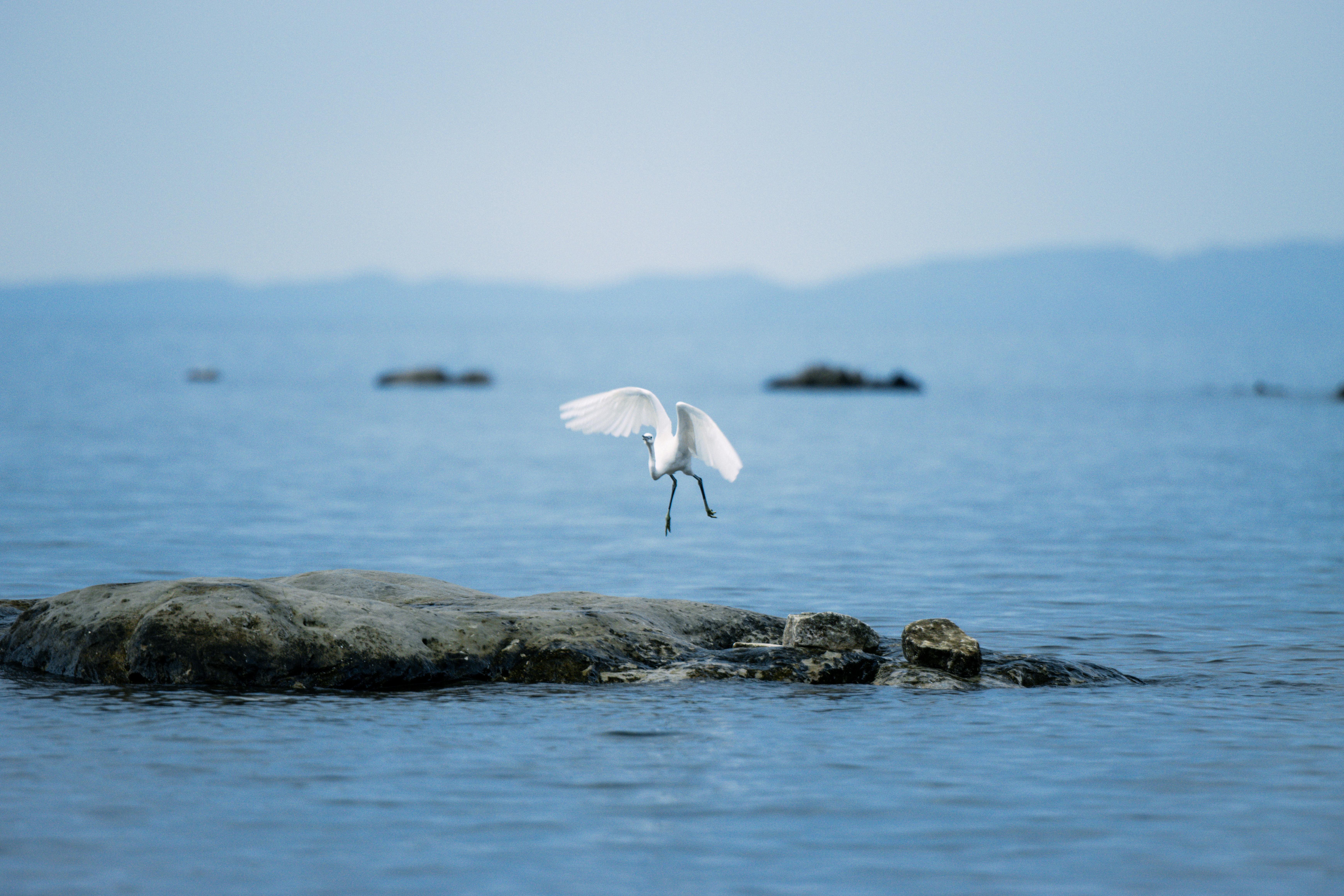 Health+And+Efficiency+Photos+Images Photos, Download The BEST Free ...