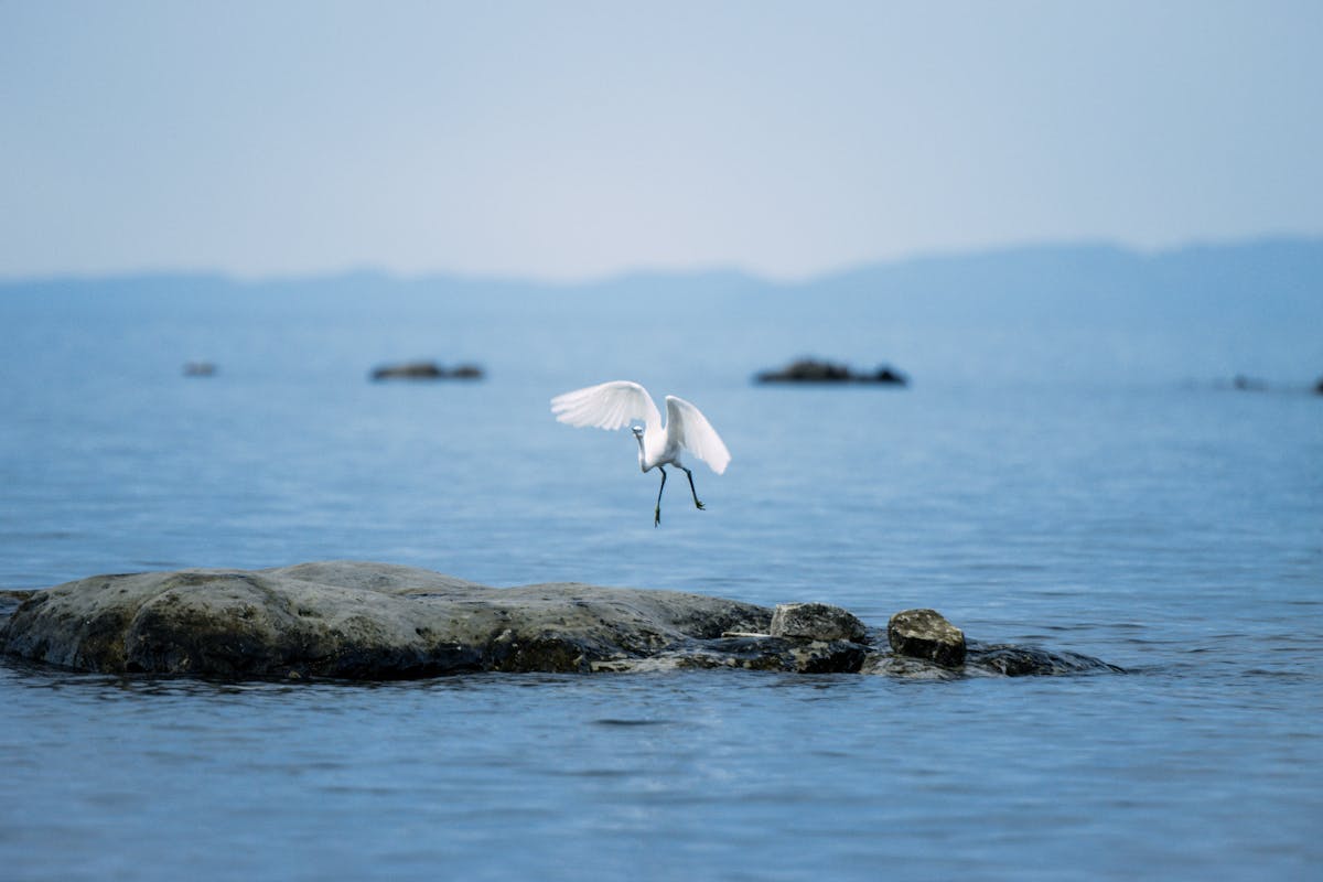 Cybersigilism+Wallpaper+4k+Desktop Photos, Download The BEST Free ...