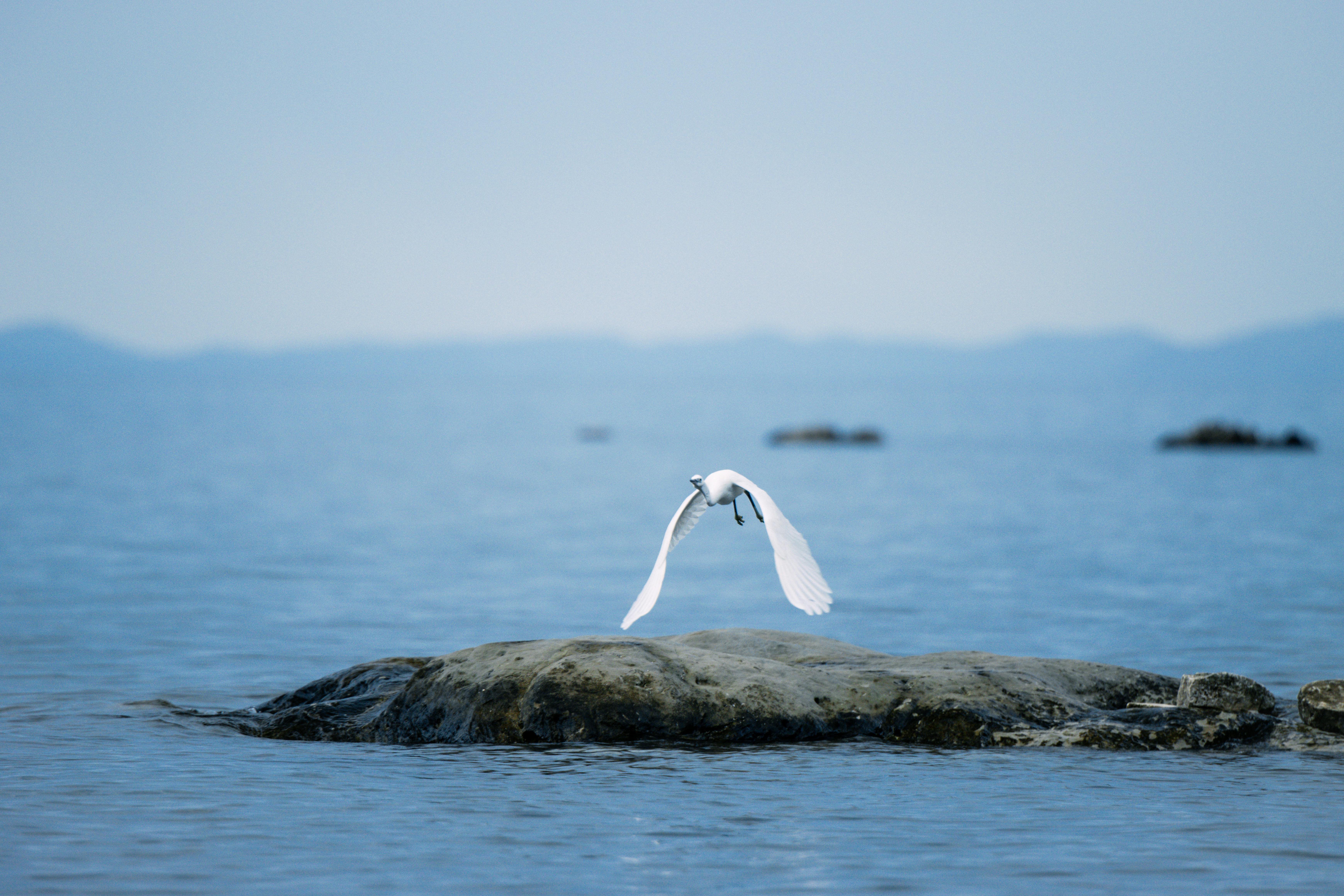 Kuma+Photo+Tanzania Photos, Download The BEST Free Kuma+Photo+Tanzania ...