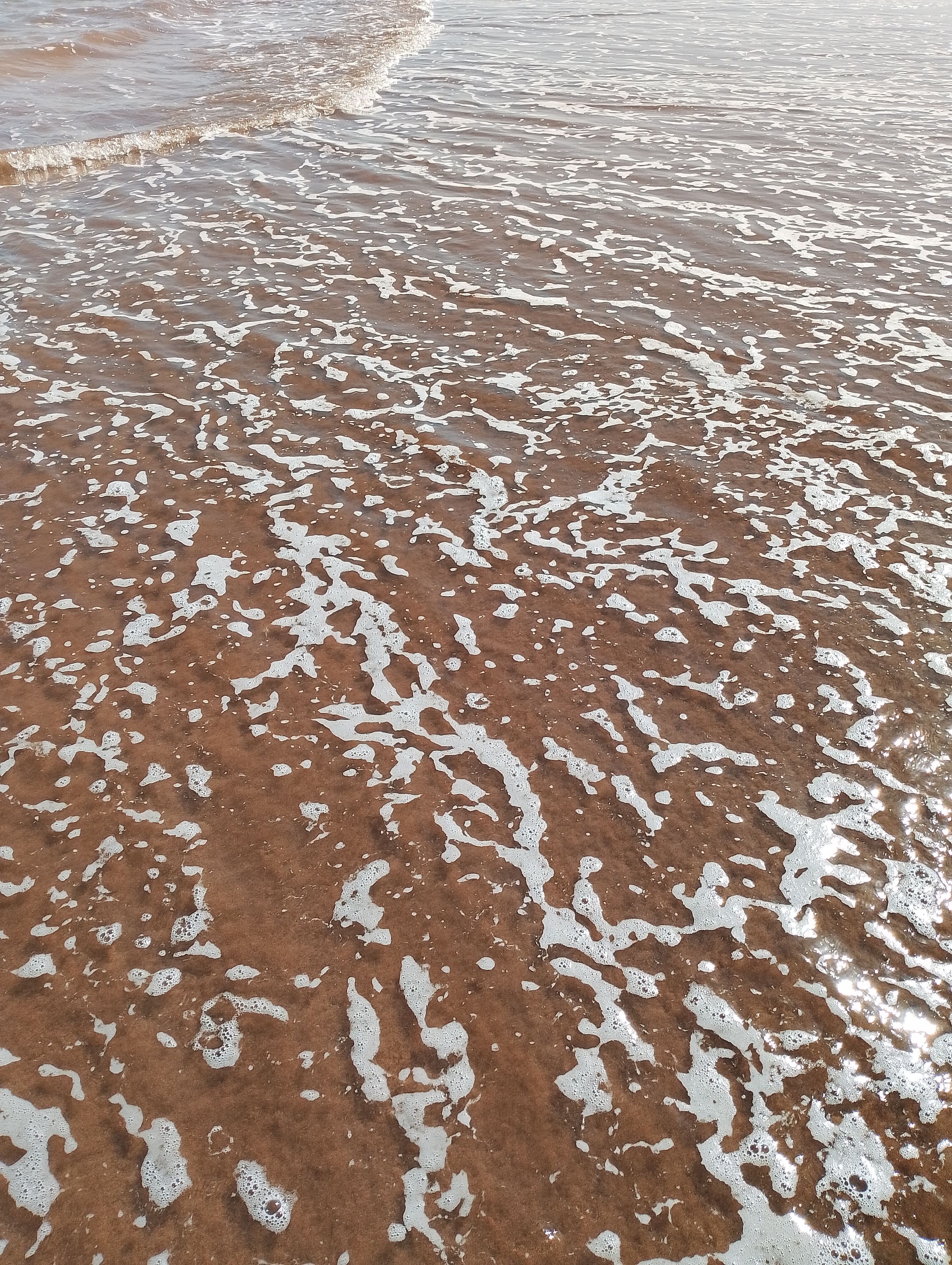 Waves and Foam on a Sandy Beach Shoreline · Free Stock Photo