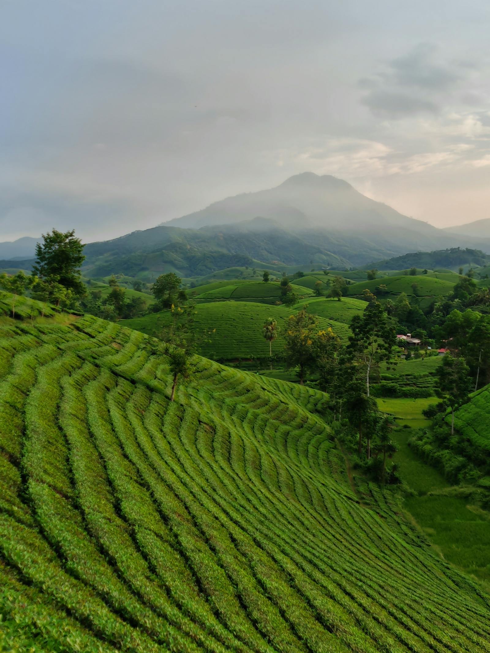 Kissing+On+Her+Thighs+Gifs Photos, Download The BEST Free Kissing+On ...