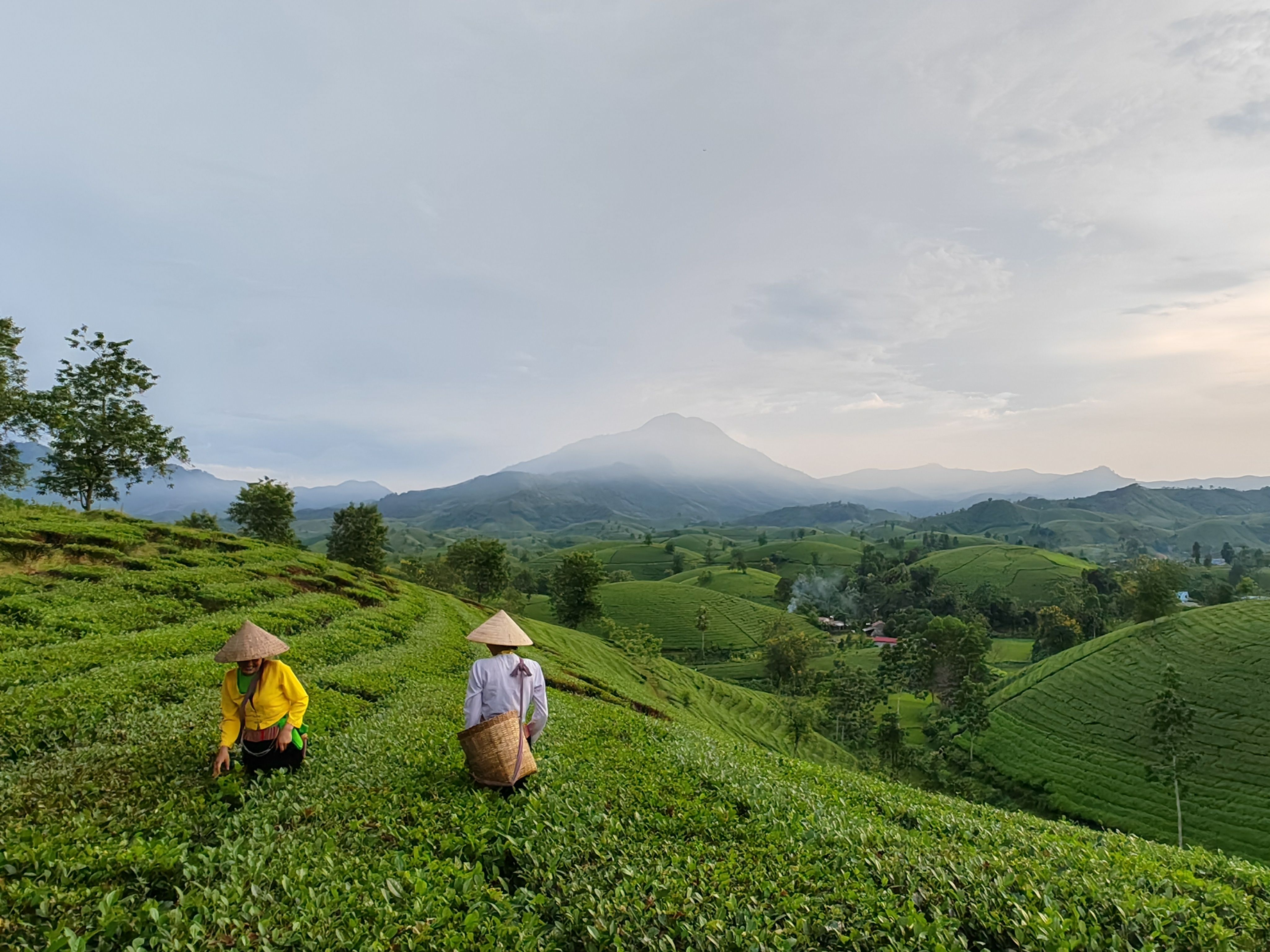 Hill Station Photos, Download The BEST Free Hill Station Stock Photos ...