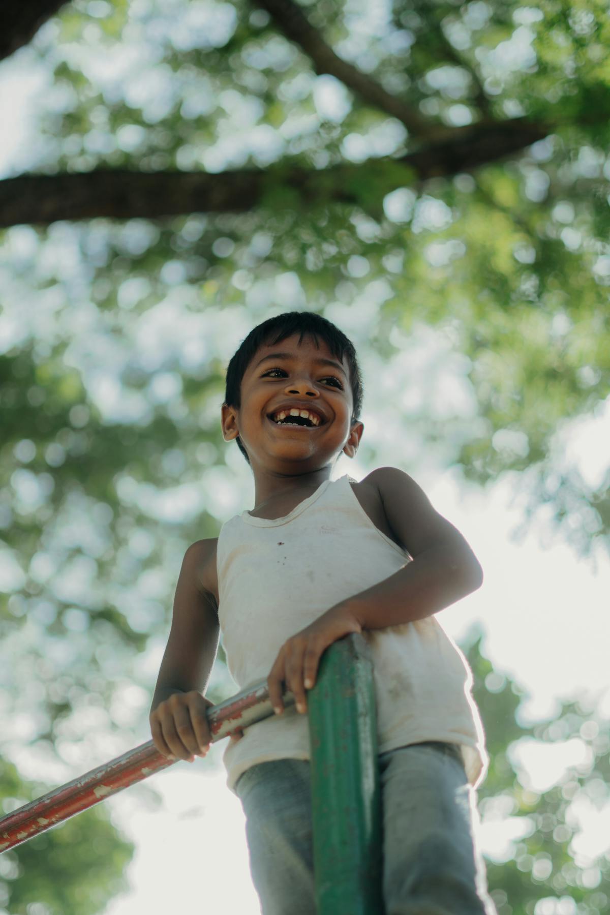 Boy Pfp Photos, Download The BEST Free Boy Pfp Stock Photos & HD Images