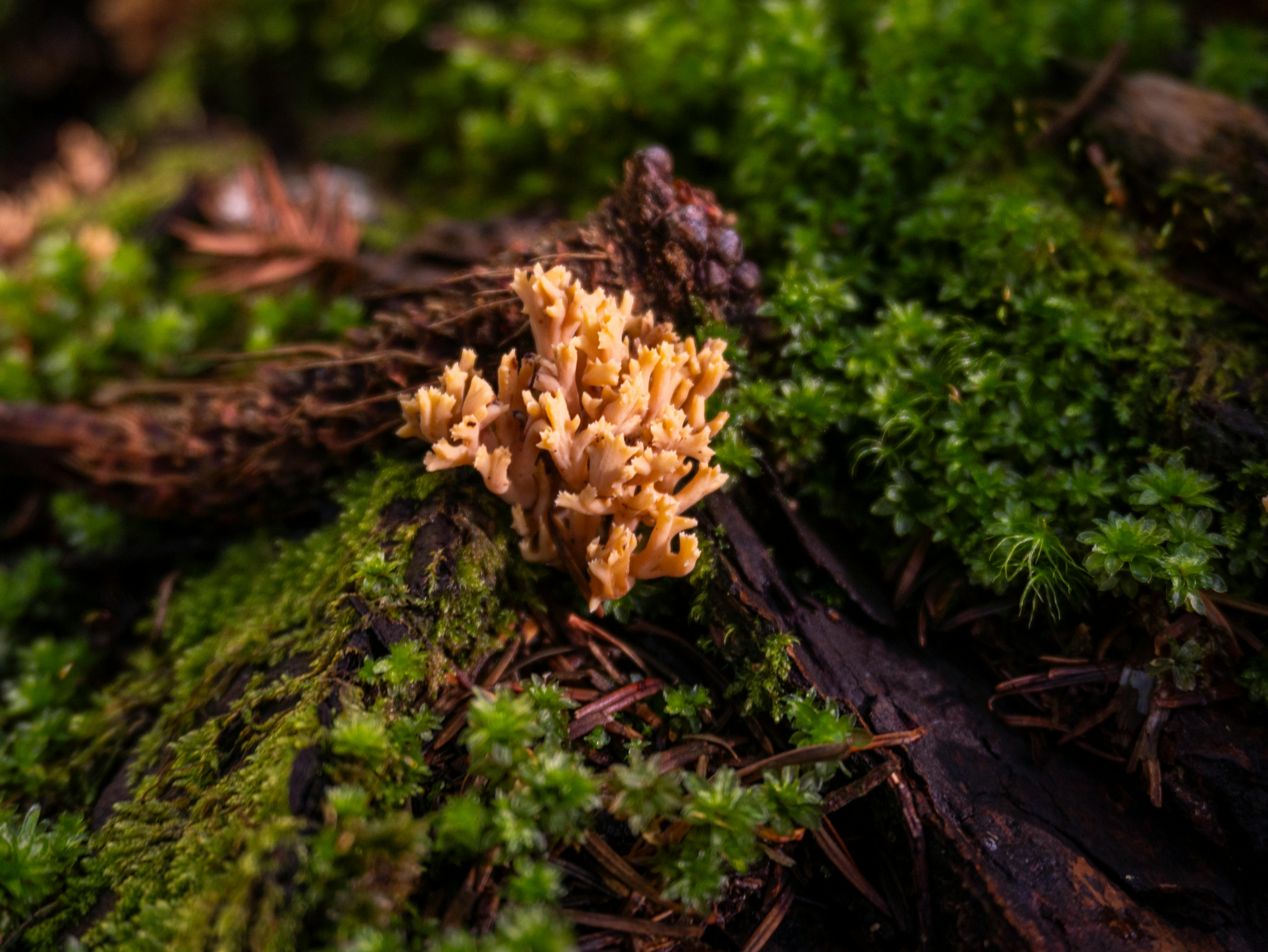 Damp+Lips. Photos, Download The BEST Free Damp+Lips. Stock Photos & HD ...