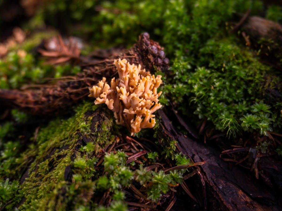 Damp+Lips. Photos, Download The BEST Free Damp+Lips. Stock Photos & HD ...