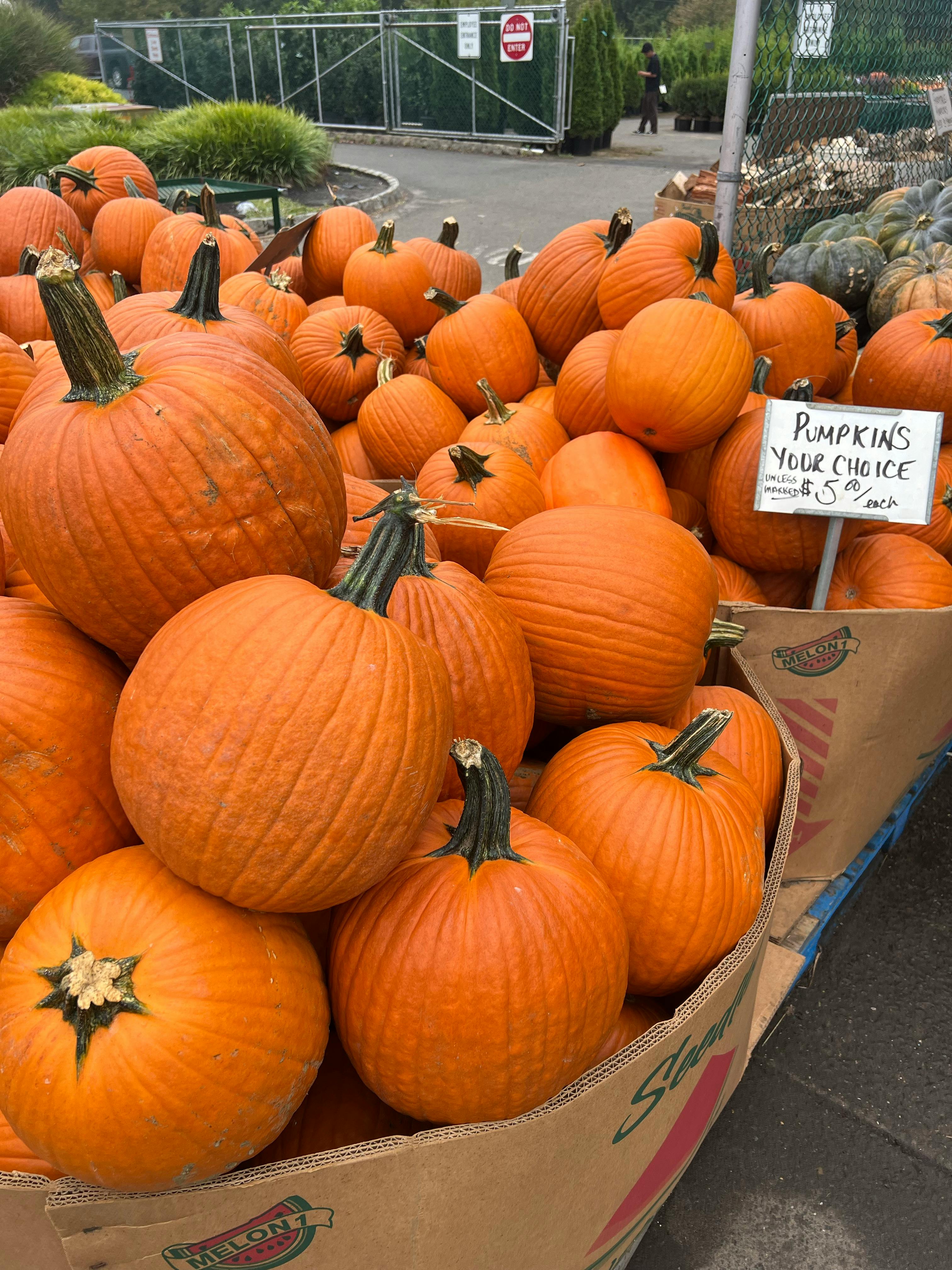 October Photos, Download The BEST Free October Stock Photos & HD Images